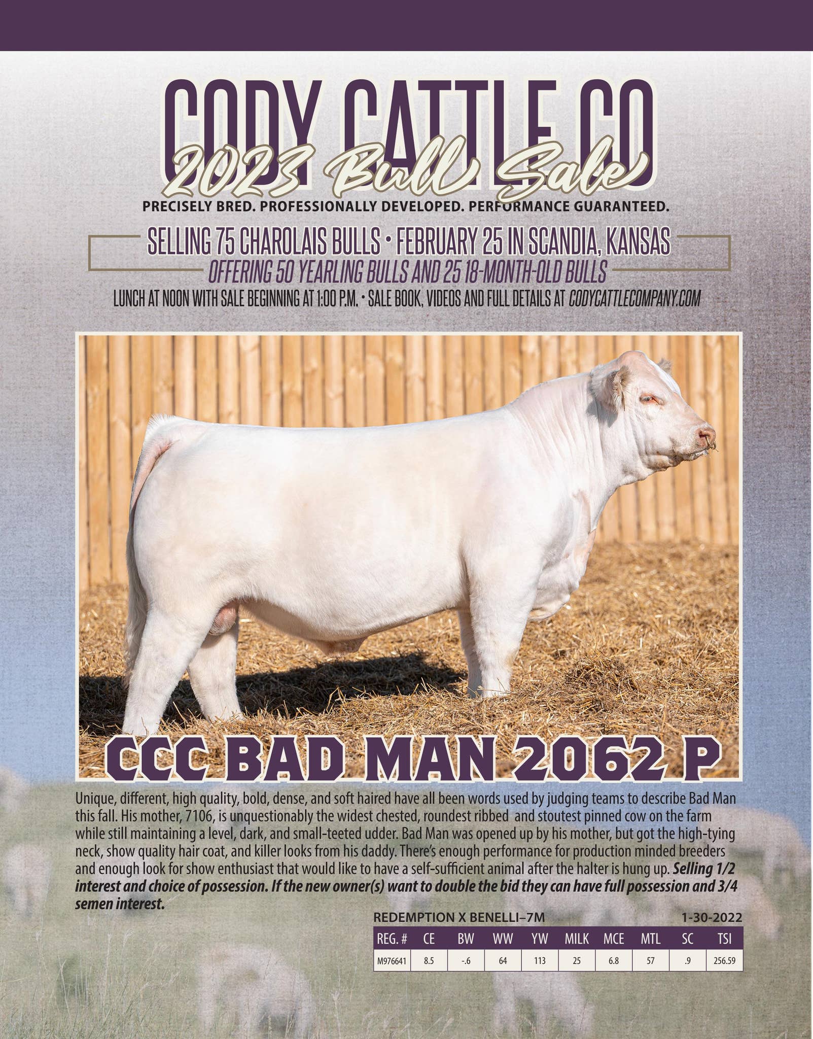 2023 Cody Cattle Company Bull Sale Preview by Cody Cattle Company - Issuu