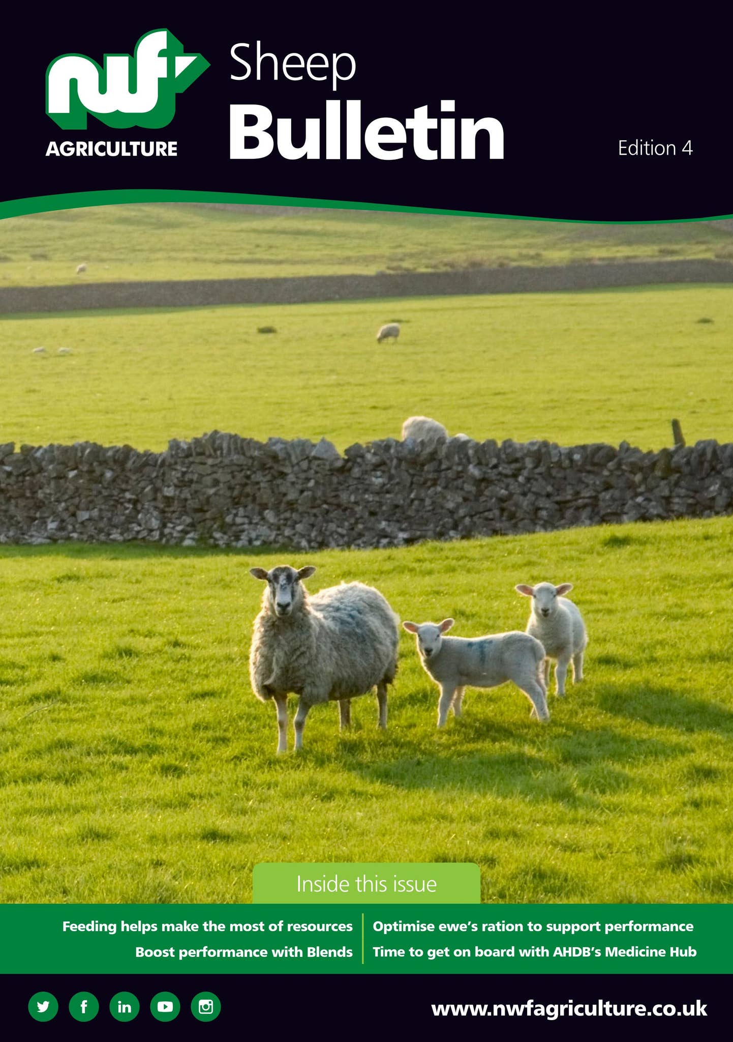 NWF Agriculture Sheep Bulletin Edition 4 by NWFAgriculture - Issuu