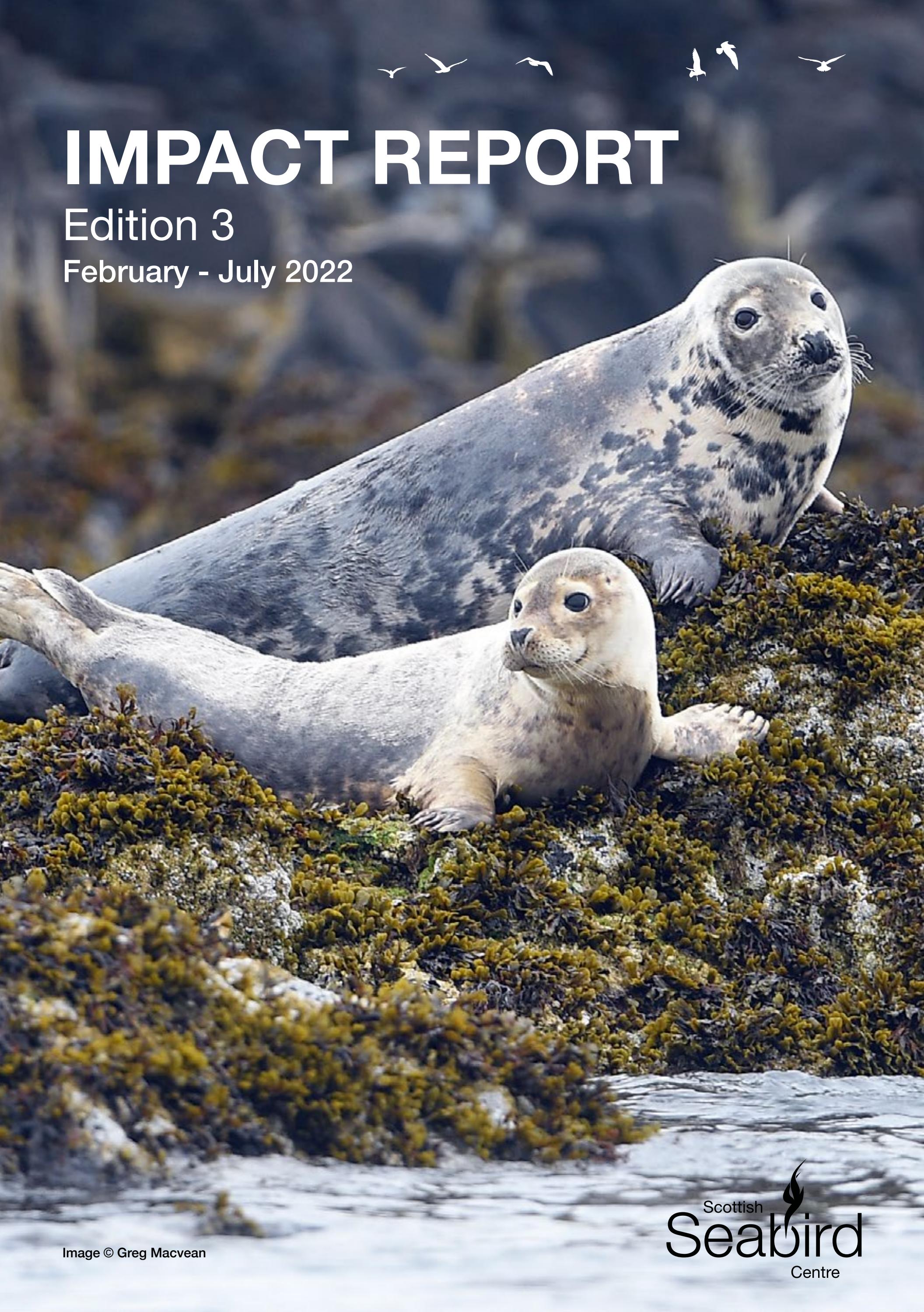 Scottish Seabird Centre Impact Report by Scottish Seabird Centre - Issuu