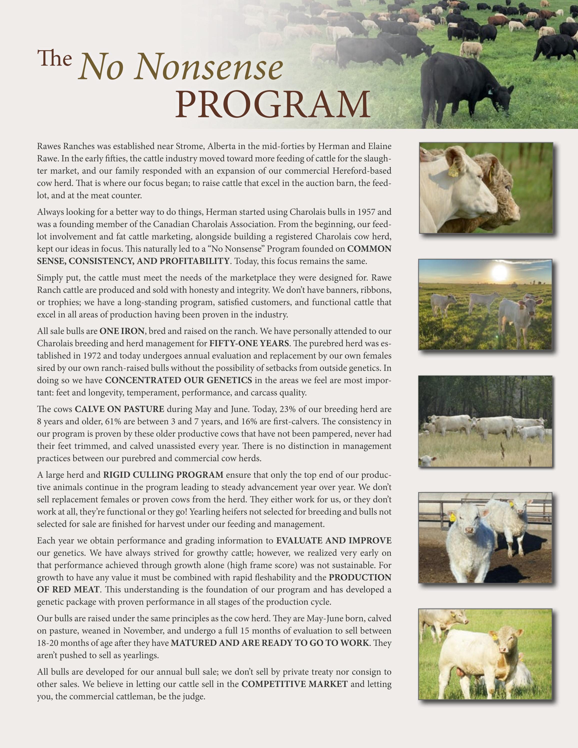 The No Nonsense Program by Rawes Ranches Ltd. - Issuu