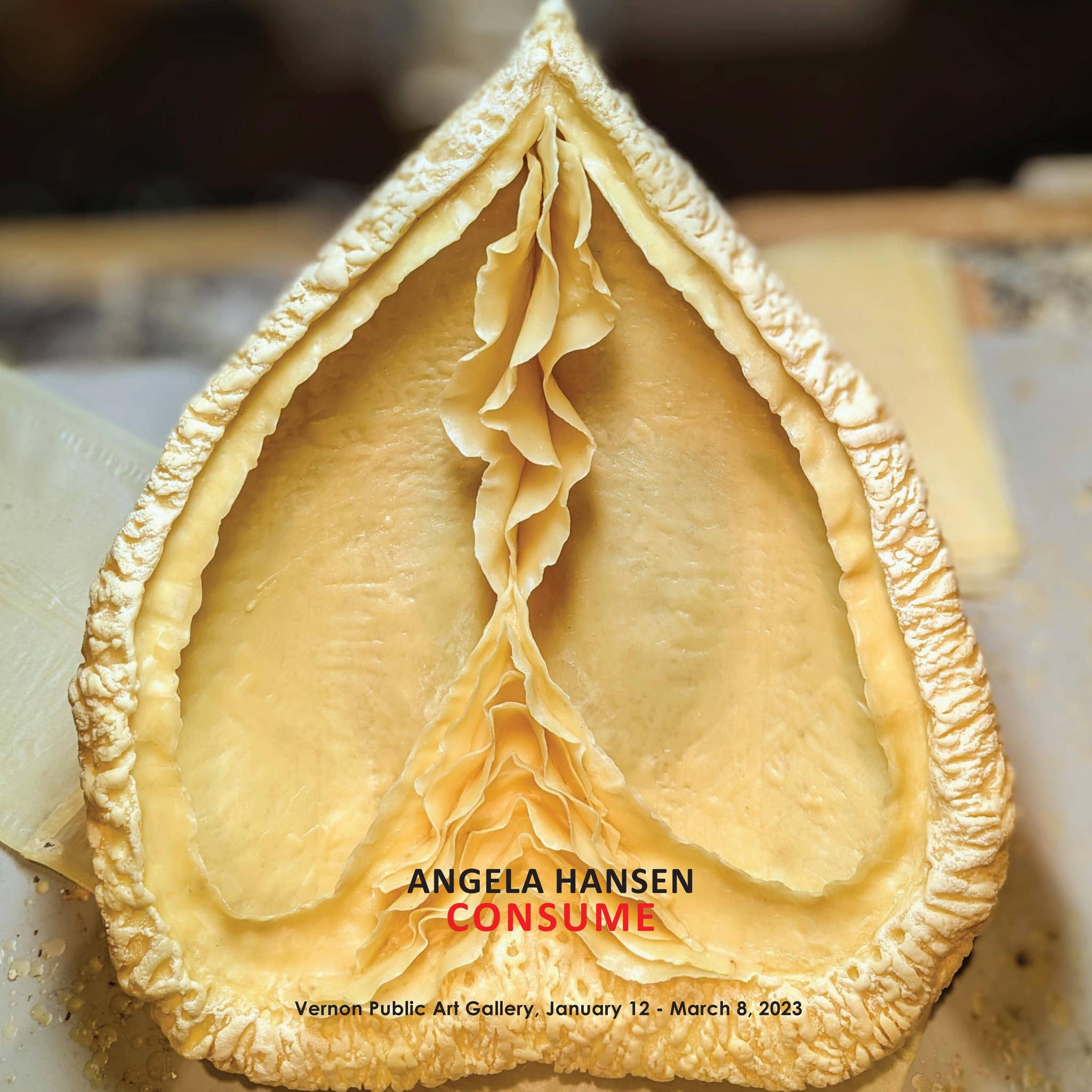 Angela Hansen: Consume by Vernon Public Art Gallery - Issuu