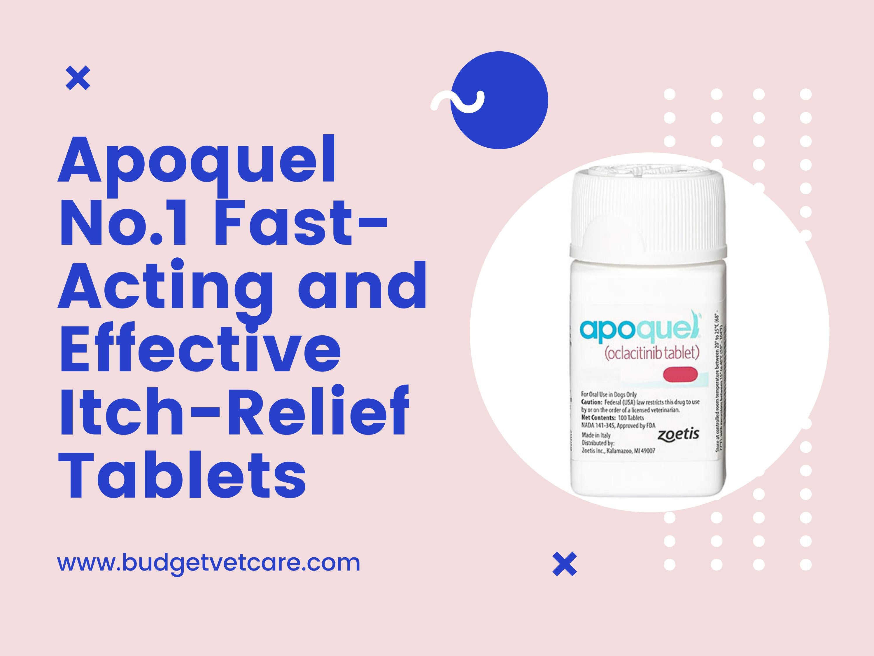 All About Apoquel No.1 Fast-acting and effective anti-itch tablets by ...