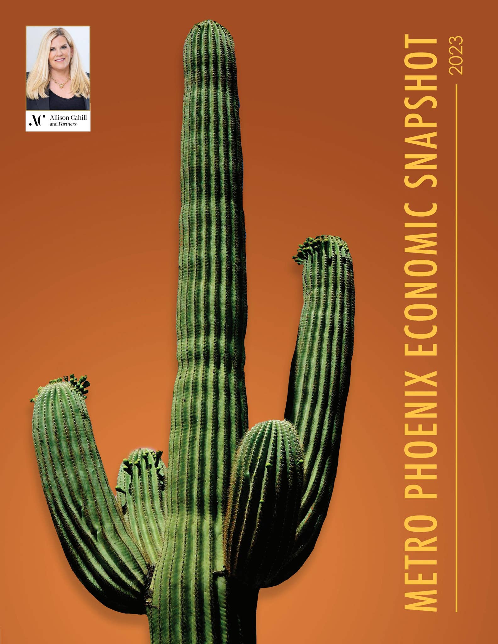 Allison Cahill | Metro Phoenix Economic Snapshot | February 2023 by ...
