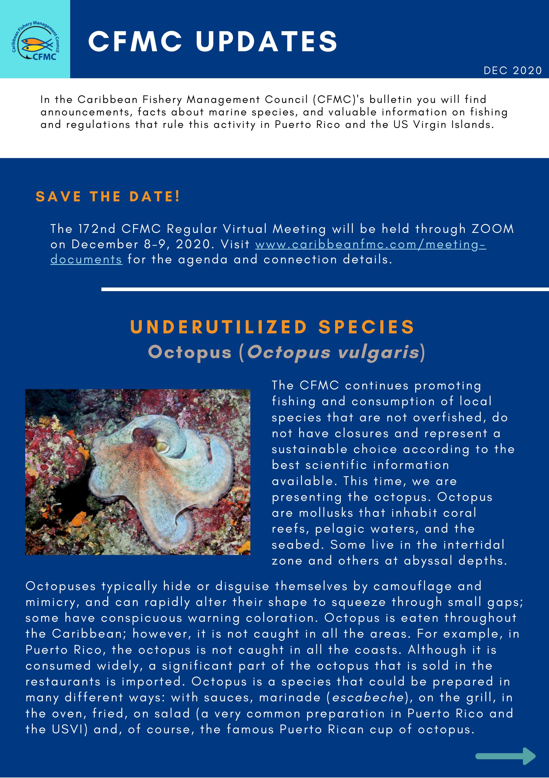 CFMC Updates (December 2020) by Caribbean Fishery Management Council ...