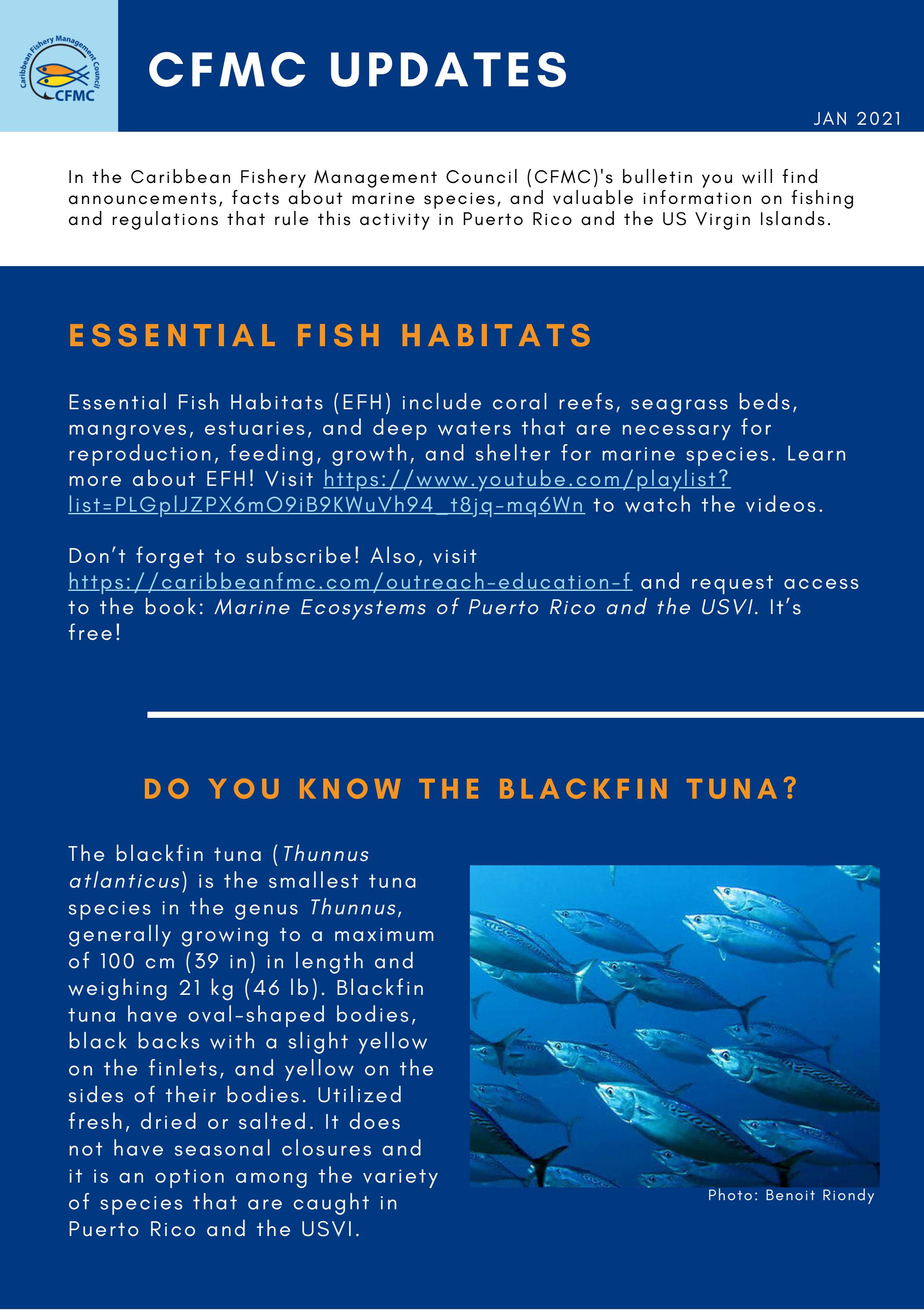 CFMC Updates (January 2021) by Caribbean Fishery Management Council - Issuu