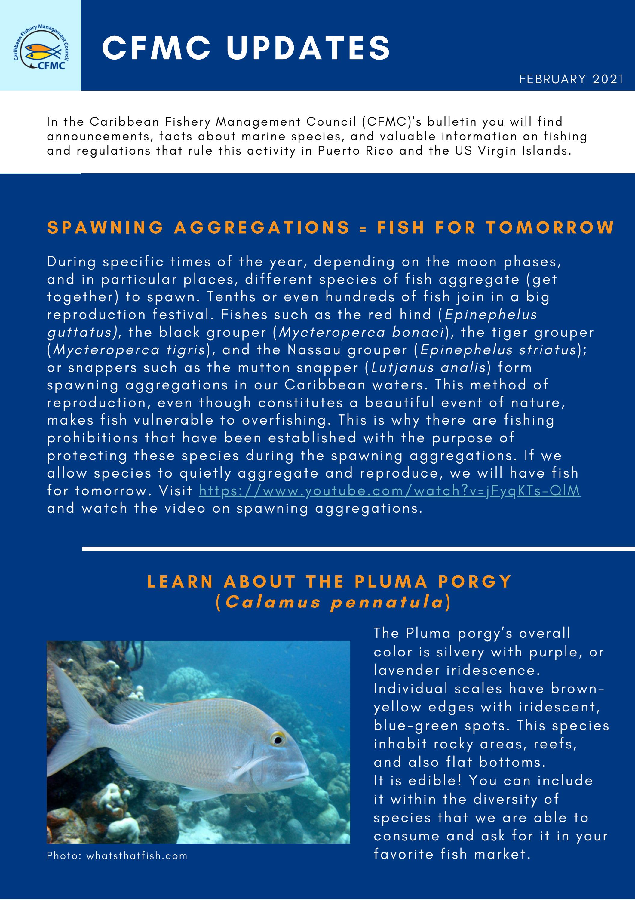 CFMC Updates (February 2021) by Caribbean Fishery Management Council ...