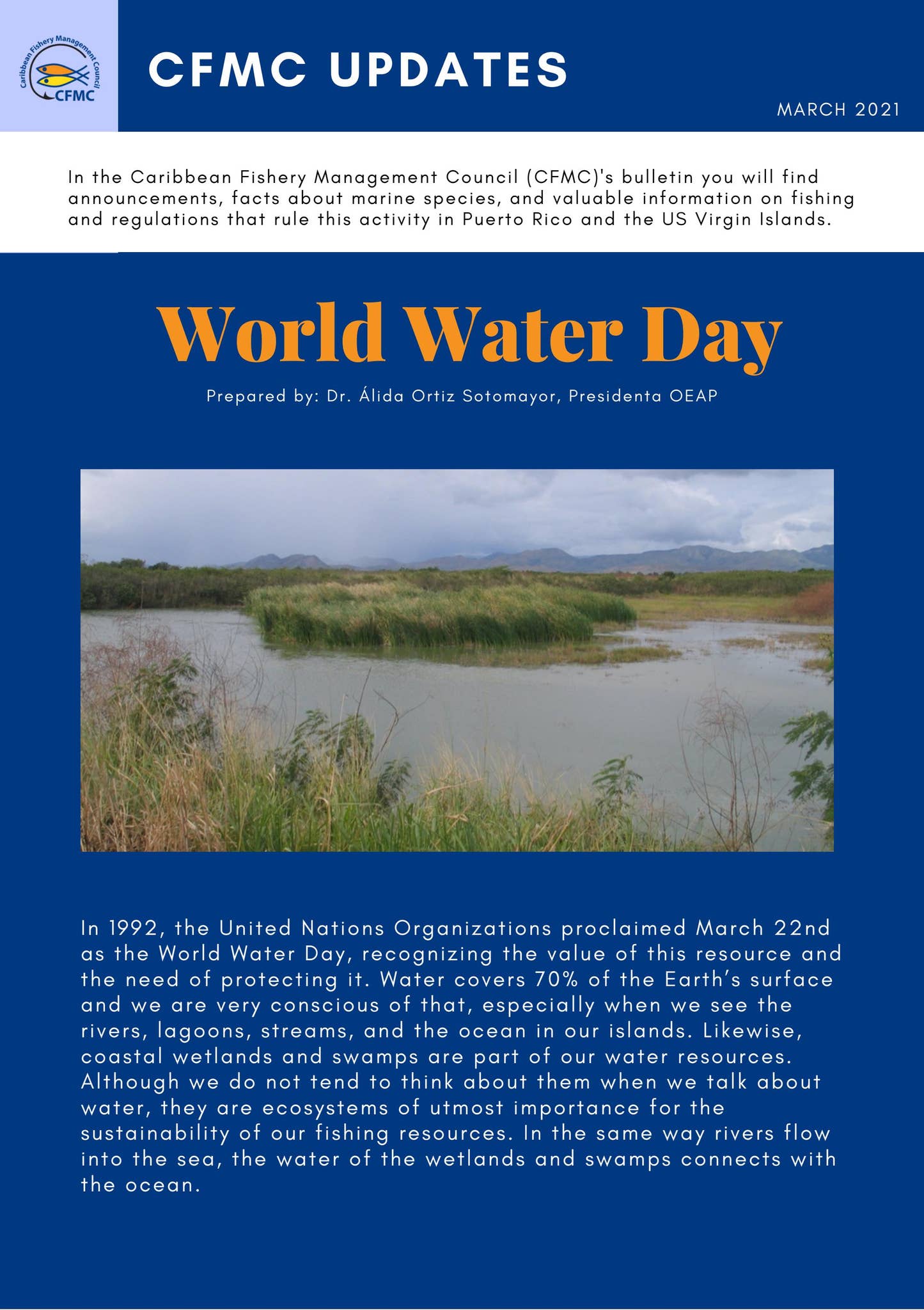 CFMC Updates (March 2021) by Caribbean Fishery Management Council - Issuu