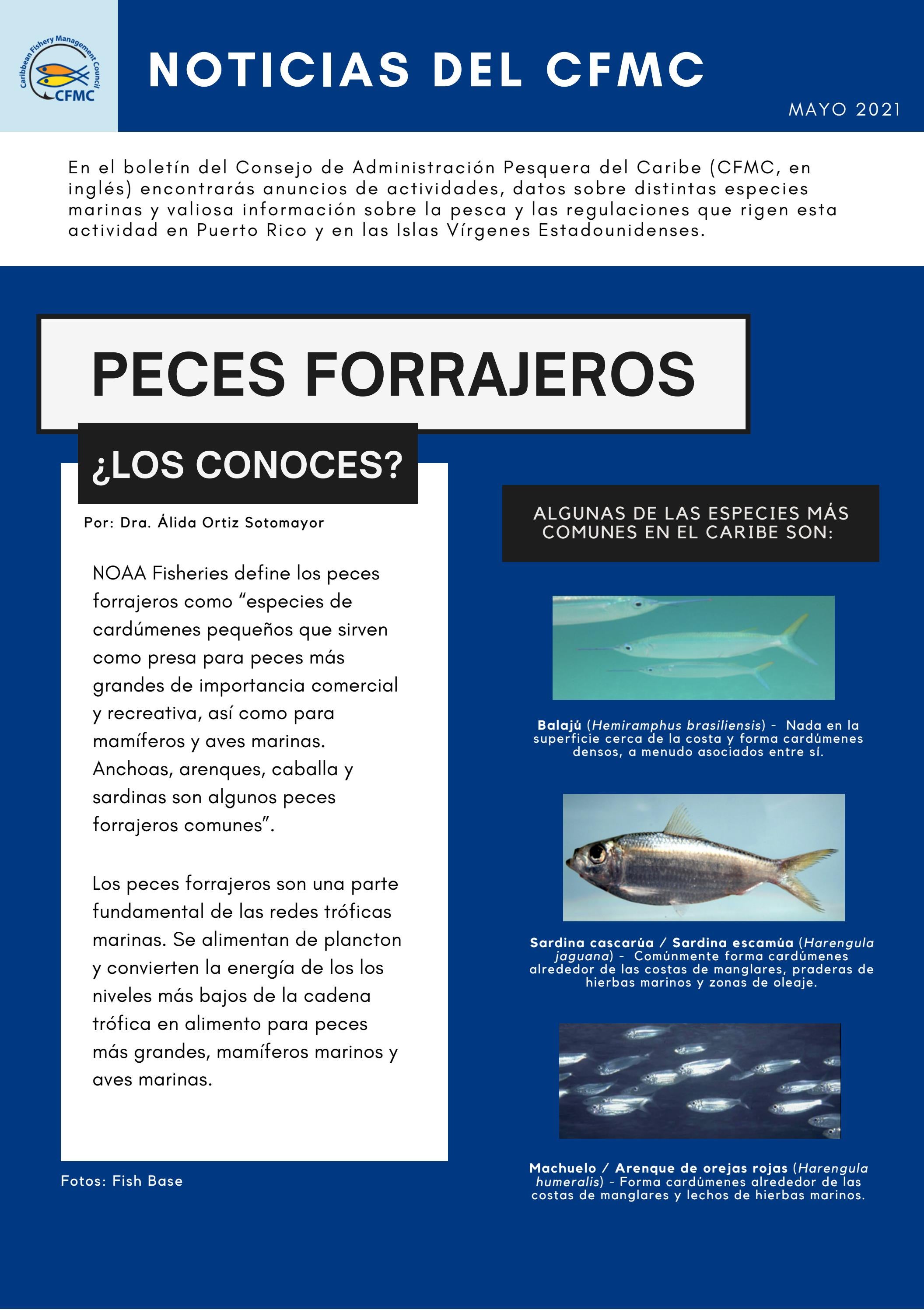 Noticias del CFMC (mayo 2021) by Caribbean Fishery Management Council ...