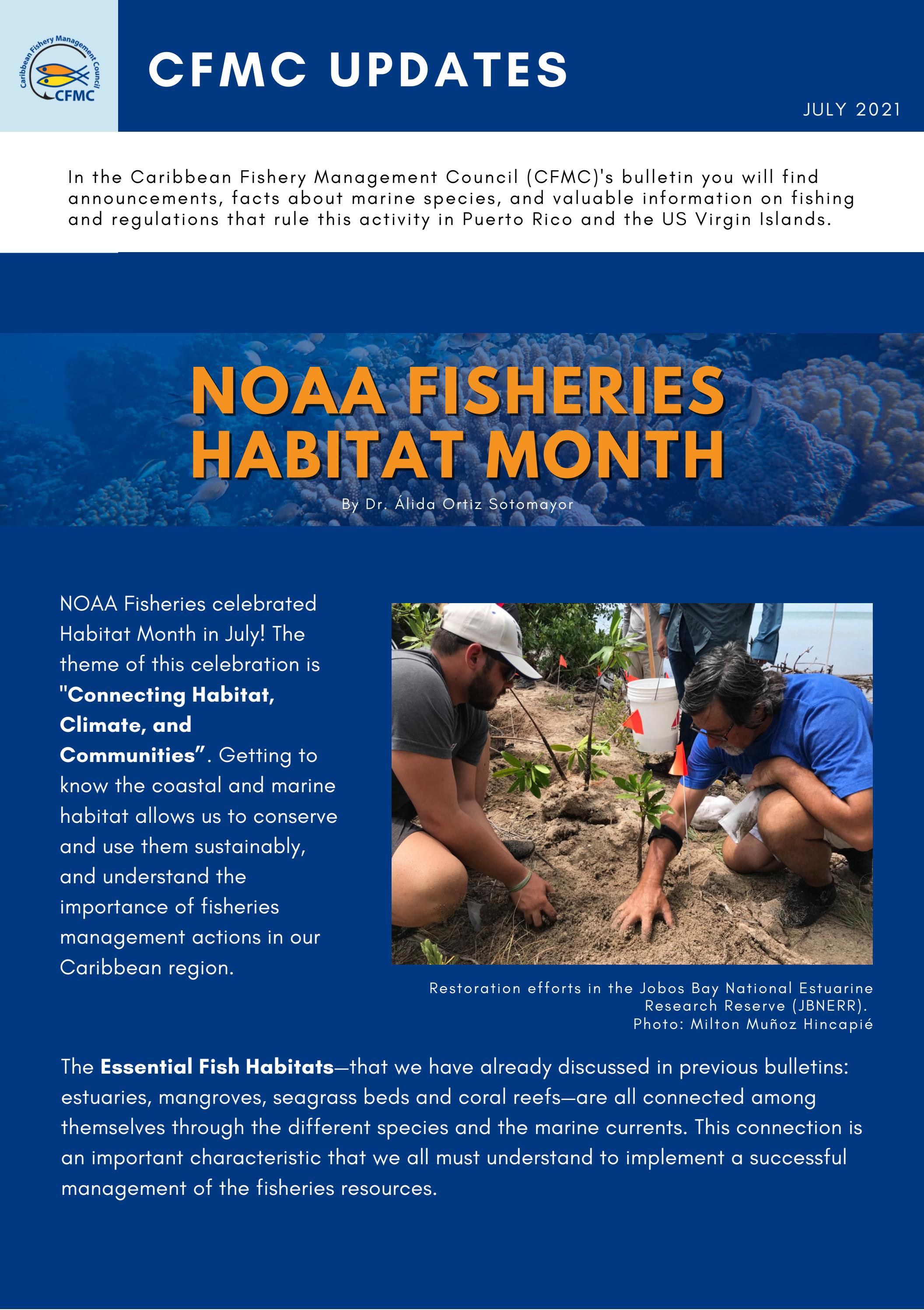 CFMC Updates (July 2021) by Caribbean Fishery Management Council - Issuu