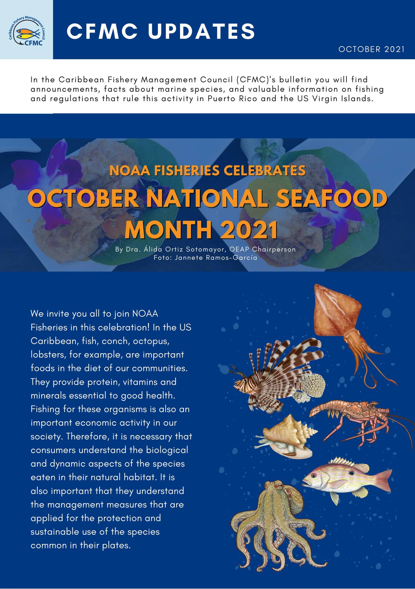 CFMC Updates (October 2021) by Caribbean Fishery Management Council - Issuu