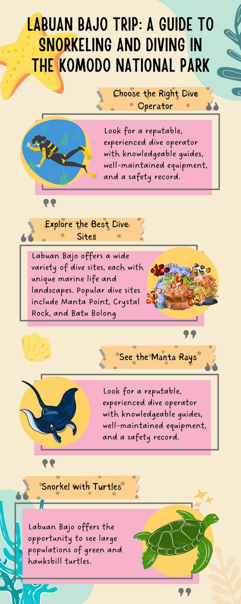 Labuan Bajo Trip: A Guide To Snorkeling and Diving In The Komodo ...