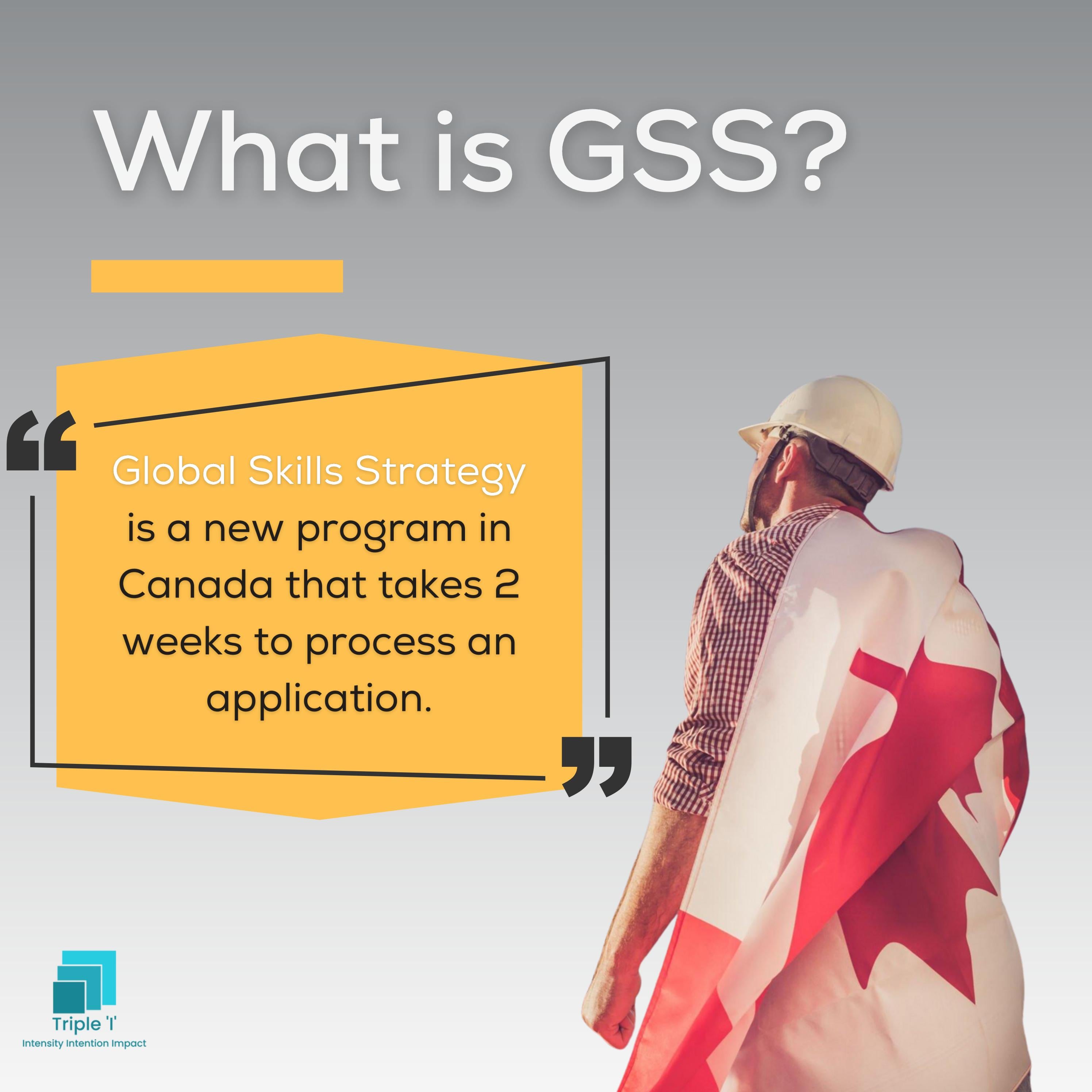 What is GSS by Anshika Mittal - Issuu