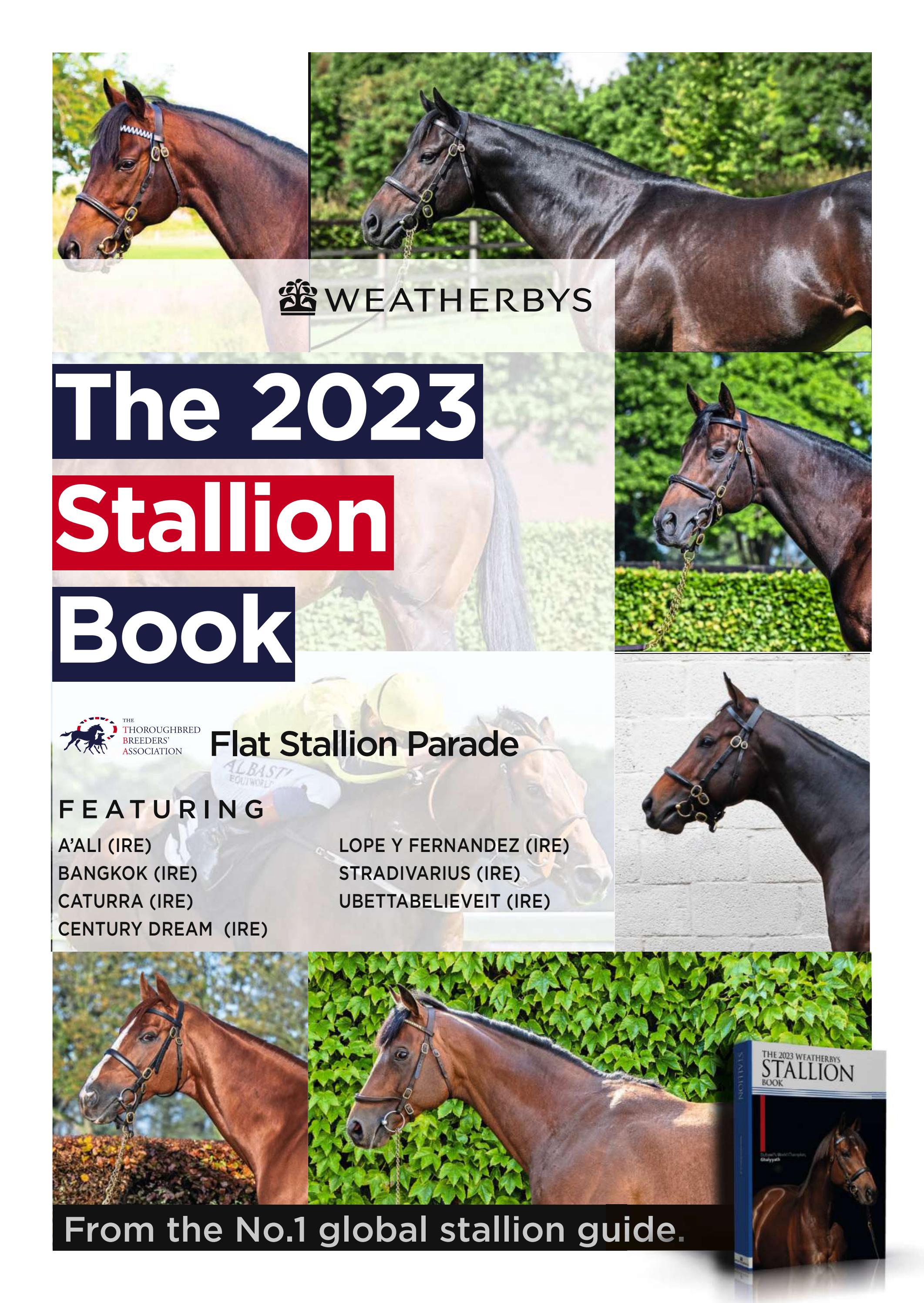 TBA 2023 Flat Stallion Parade by Weatherbys by Weatherbys - Issuu