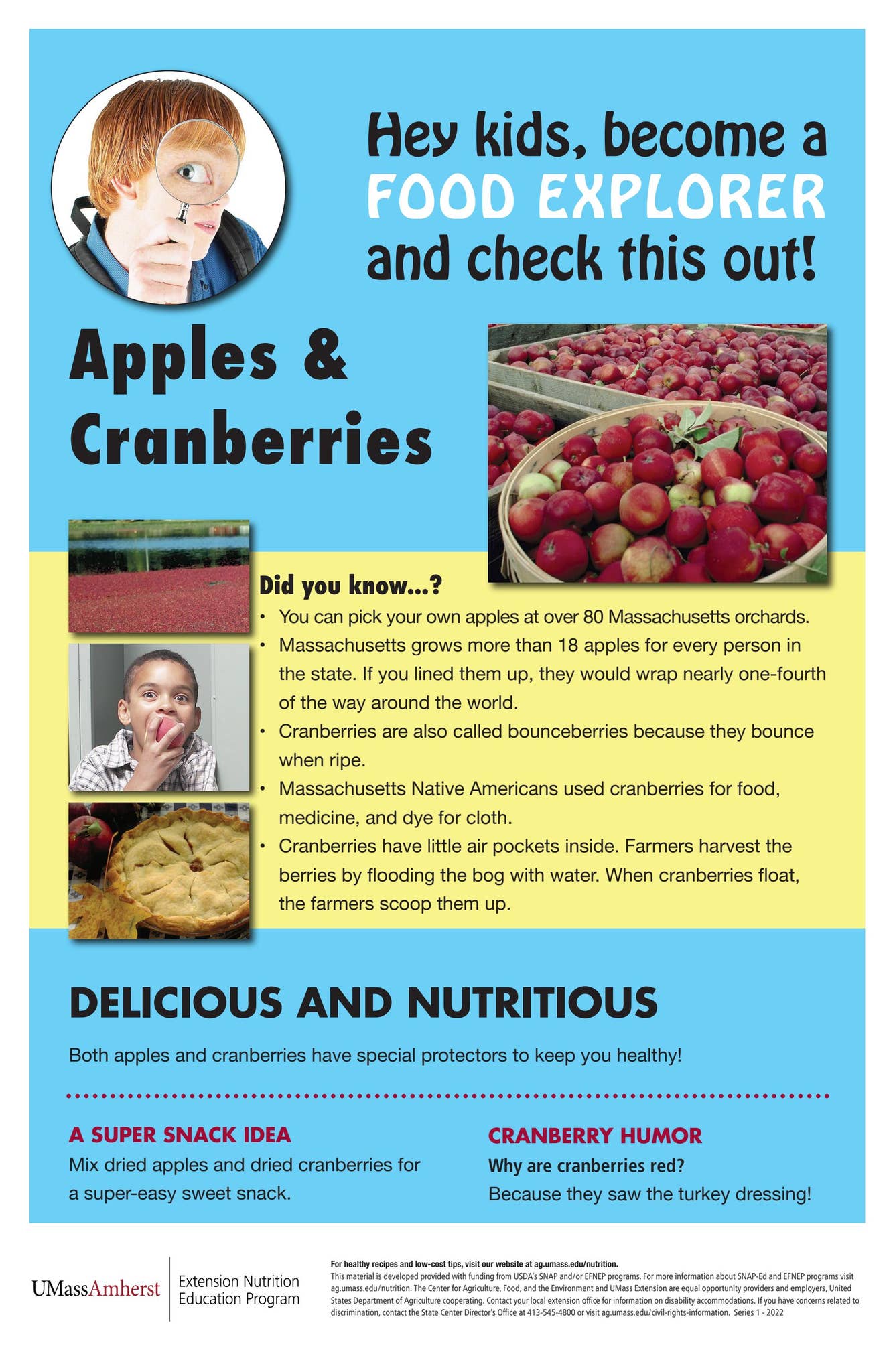 Food Explorer Posters - Series 1 by lthompso.umass.edu - Issuu