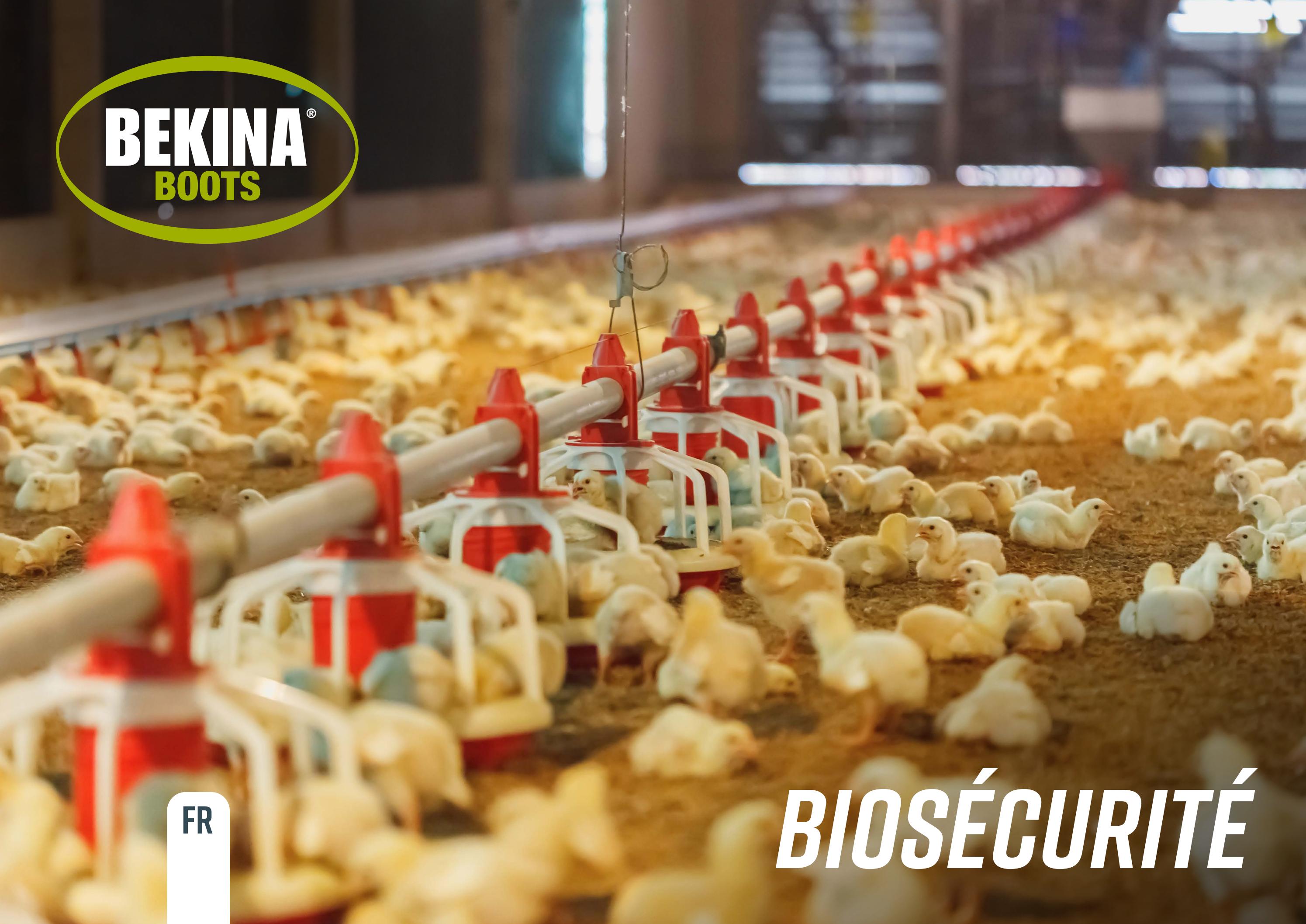 Bekina Boots - Biosécurité by Bekina N.V. - Issuu