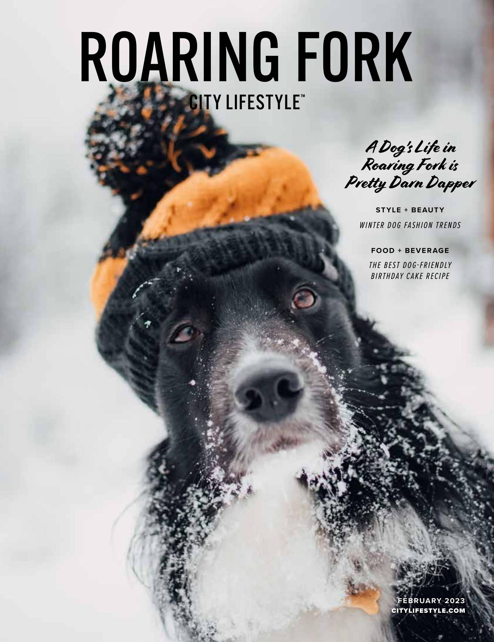 Roaring Fork, CO February 2023 by City Lifestyle - Issuu