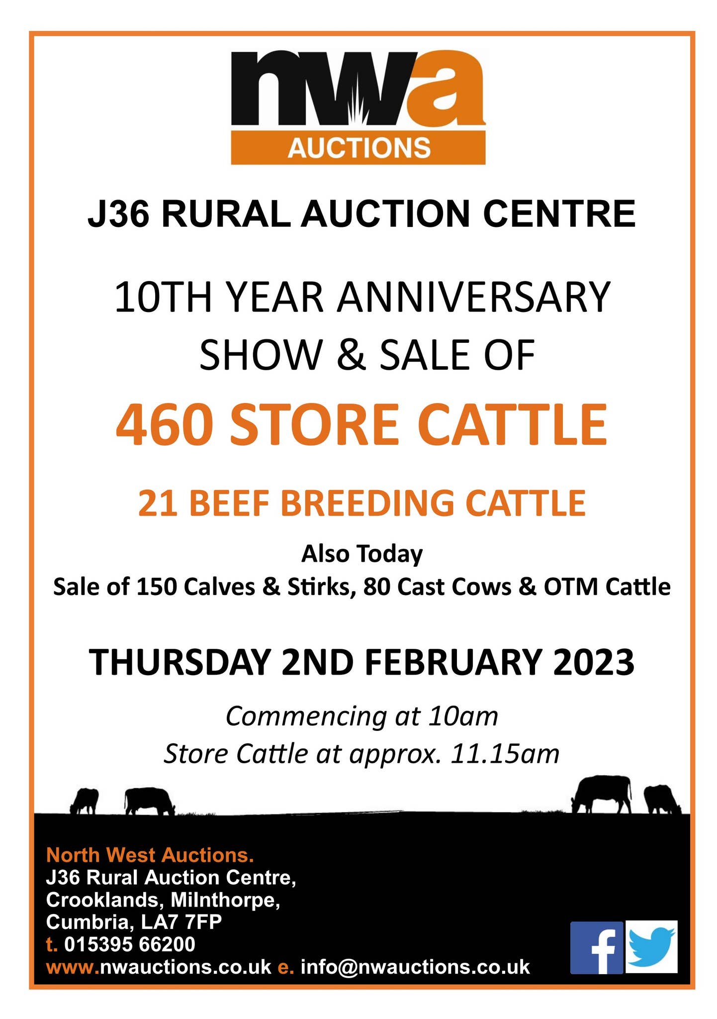 J36 Store Cattle Catalogue, Thursday 2nd February 2023 by North West ...