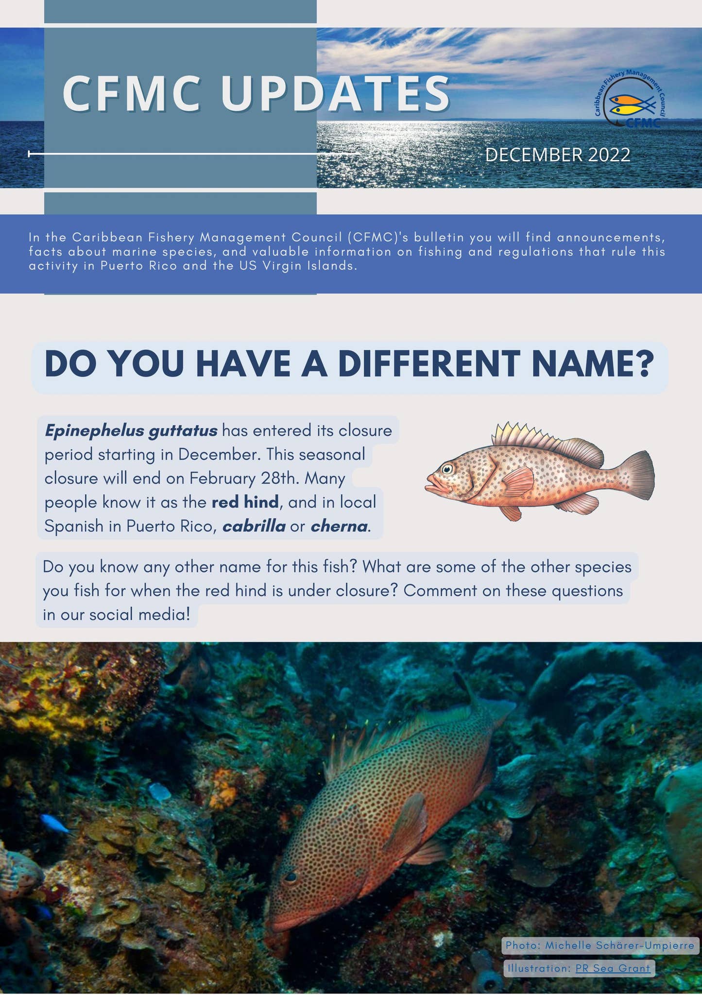 CFMC Updates (December 2022) by Caribbean Fishery Management Council ...