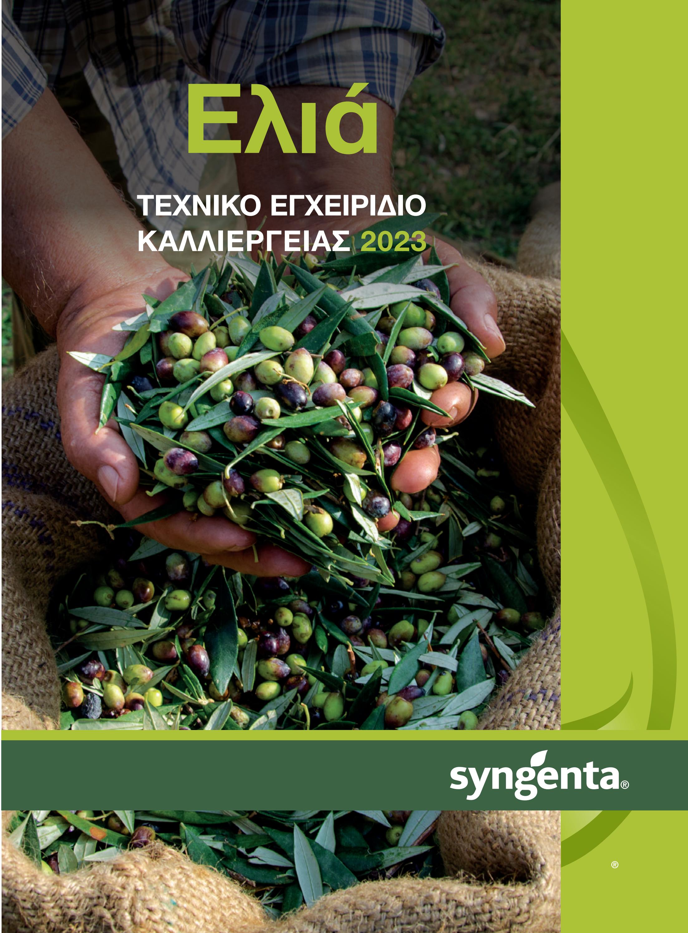 Ελιά by Syngenta Hellas - Issuu