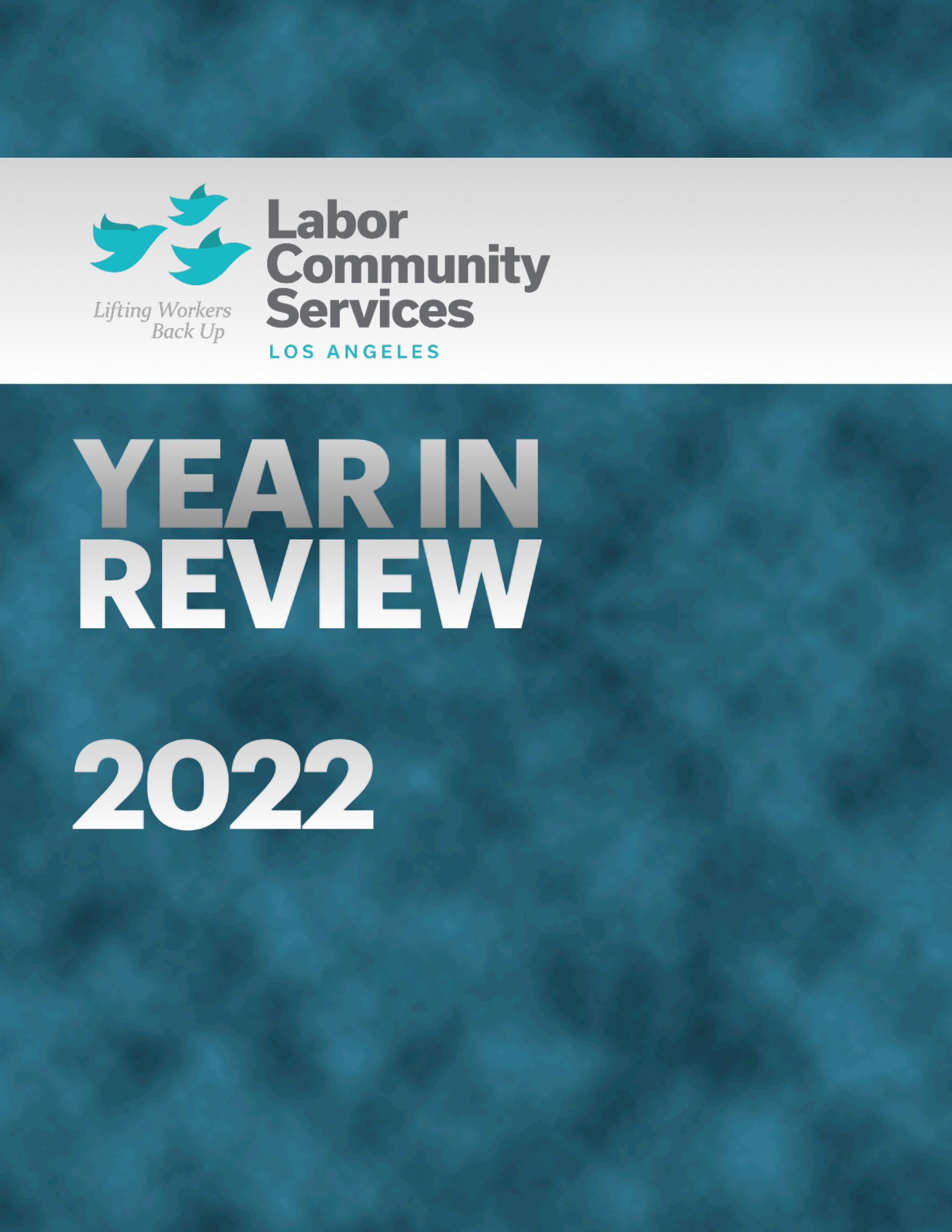 Labor Community Services - 2022 Year In Review by ulisan98 - Issuu