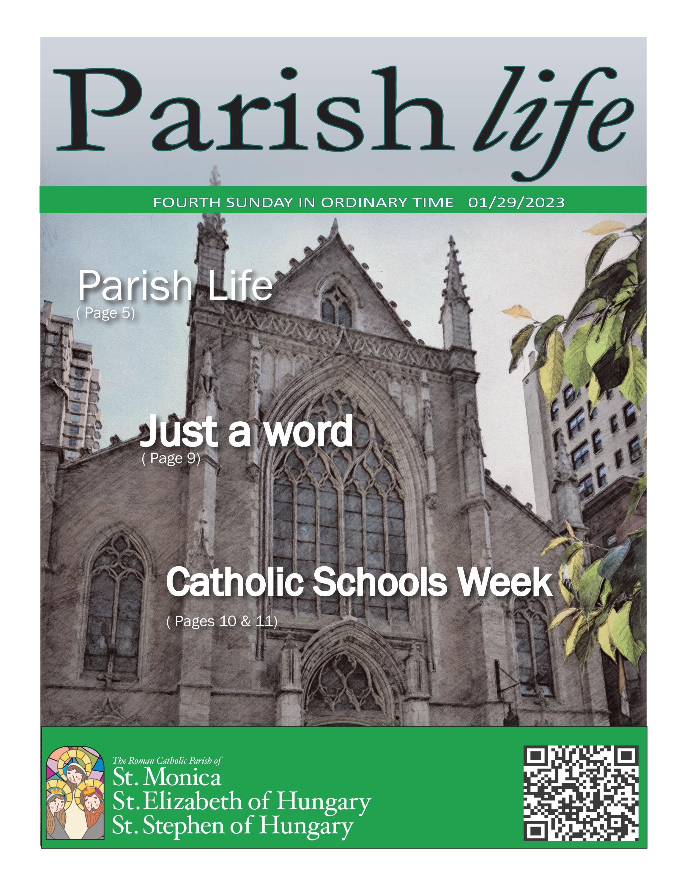 Fourth Sunday in Ordinary Time 1/29/2023 by stelmo79 - Issuu