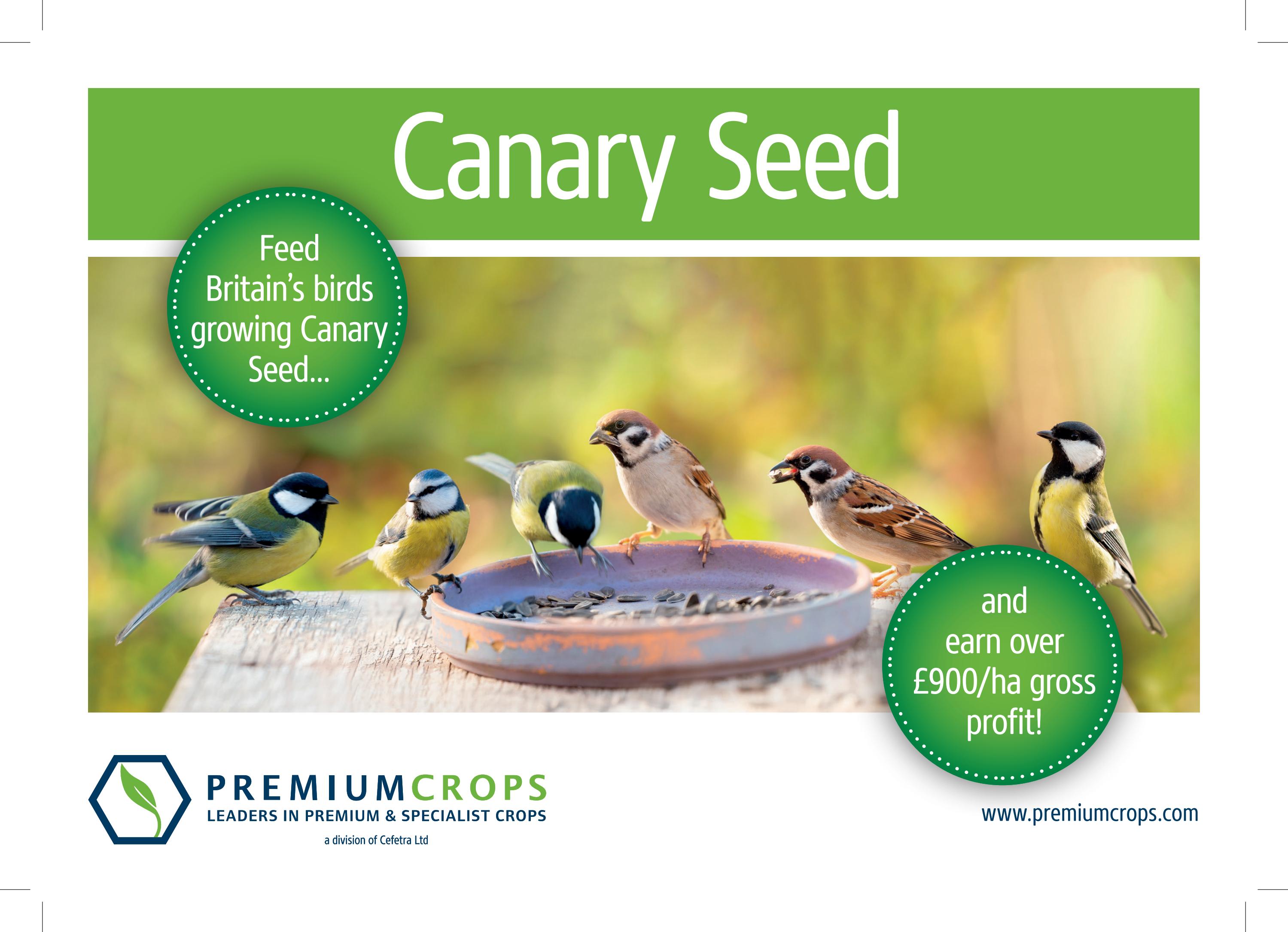 Canary Seed Insert - November 2022 by Premium Crops - Issuu