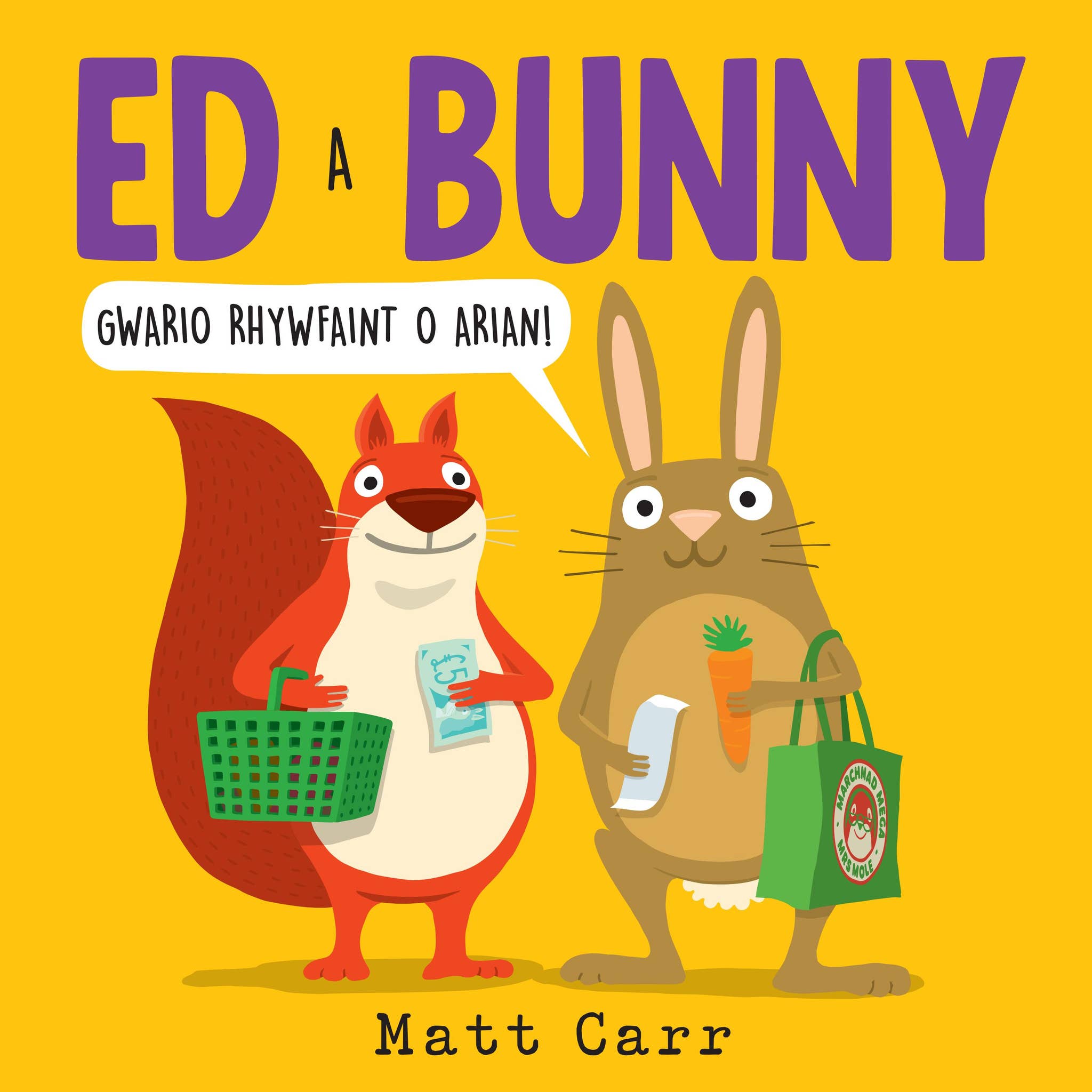Ed A Bunny Gwario Rhywfaint O Arian! (Money Heroes KS1 storybook in ...