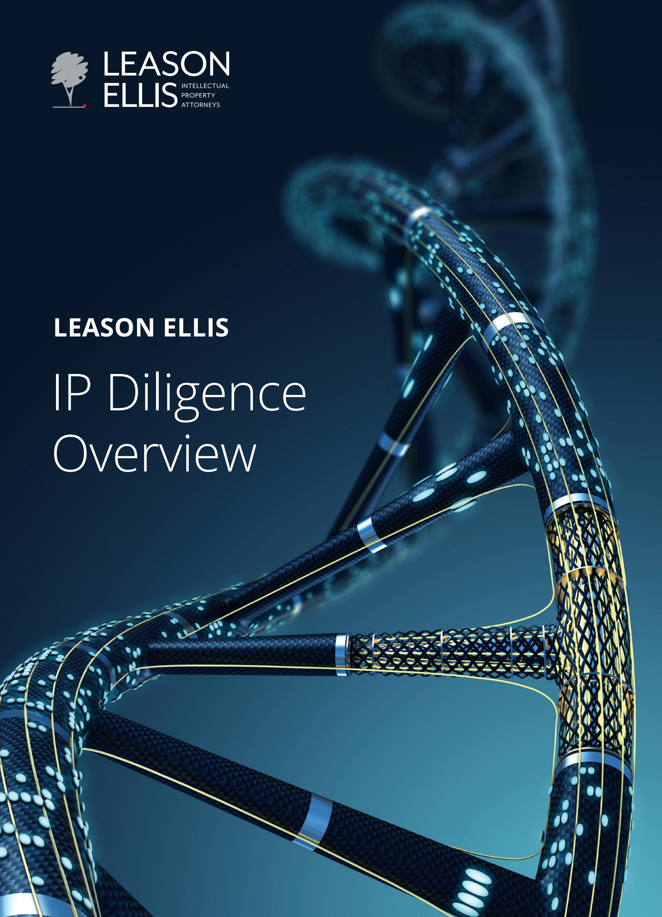 Leason Ellis IP Diligence Brochure 2023 by Leason Ellis LLP - Issuu