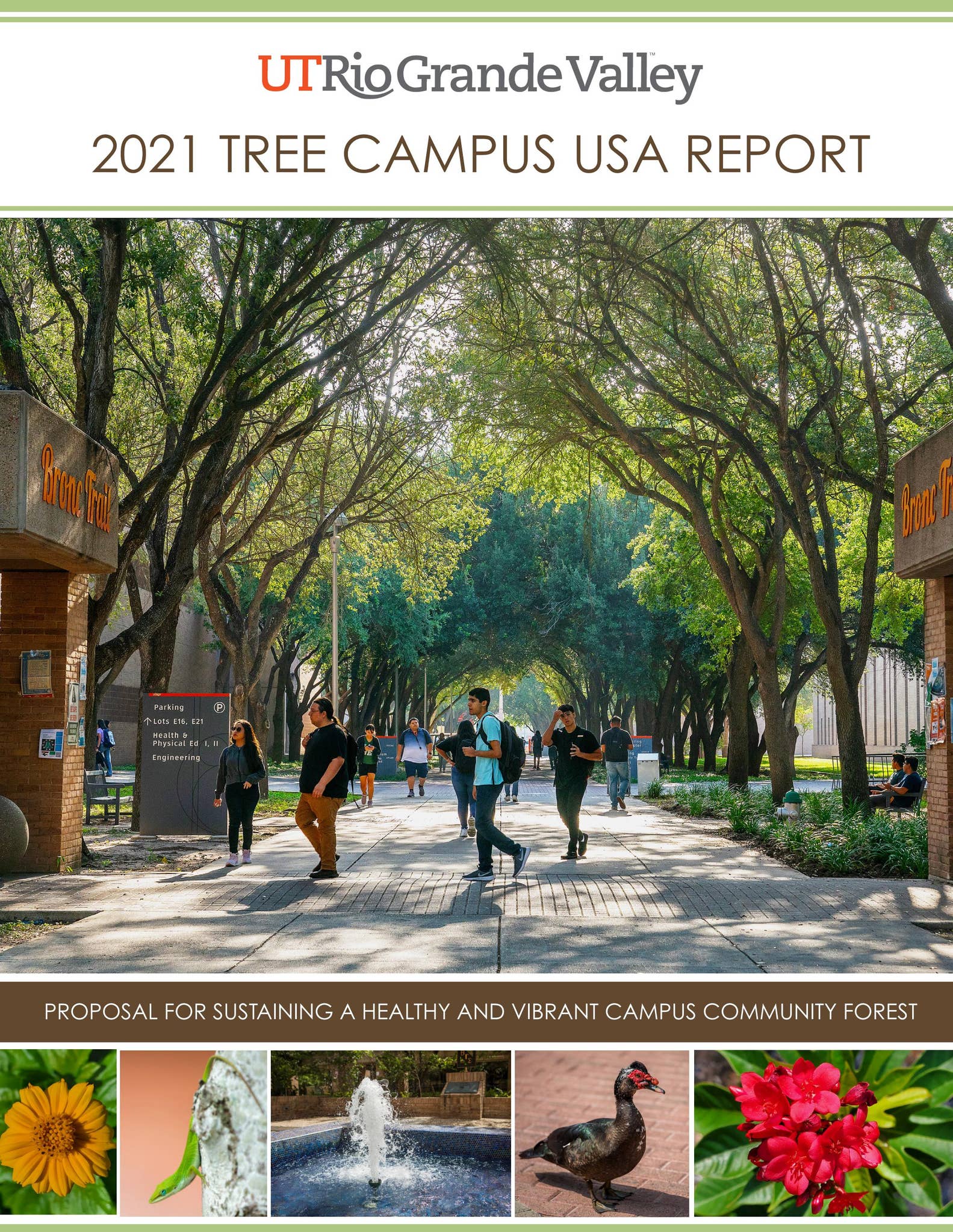 2021 Tree Campus USA Report by UTRGV Office For Sustainability - Issuu