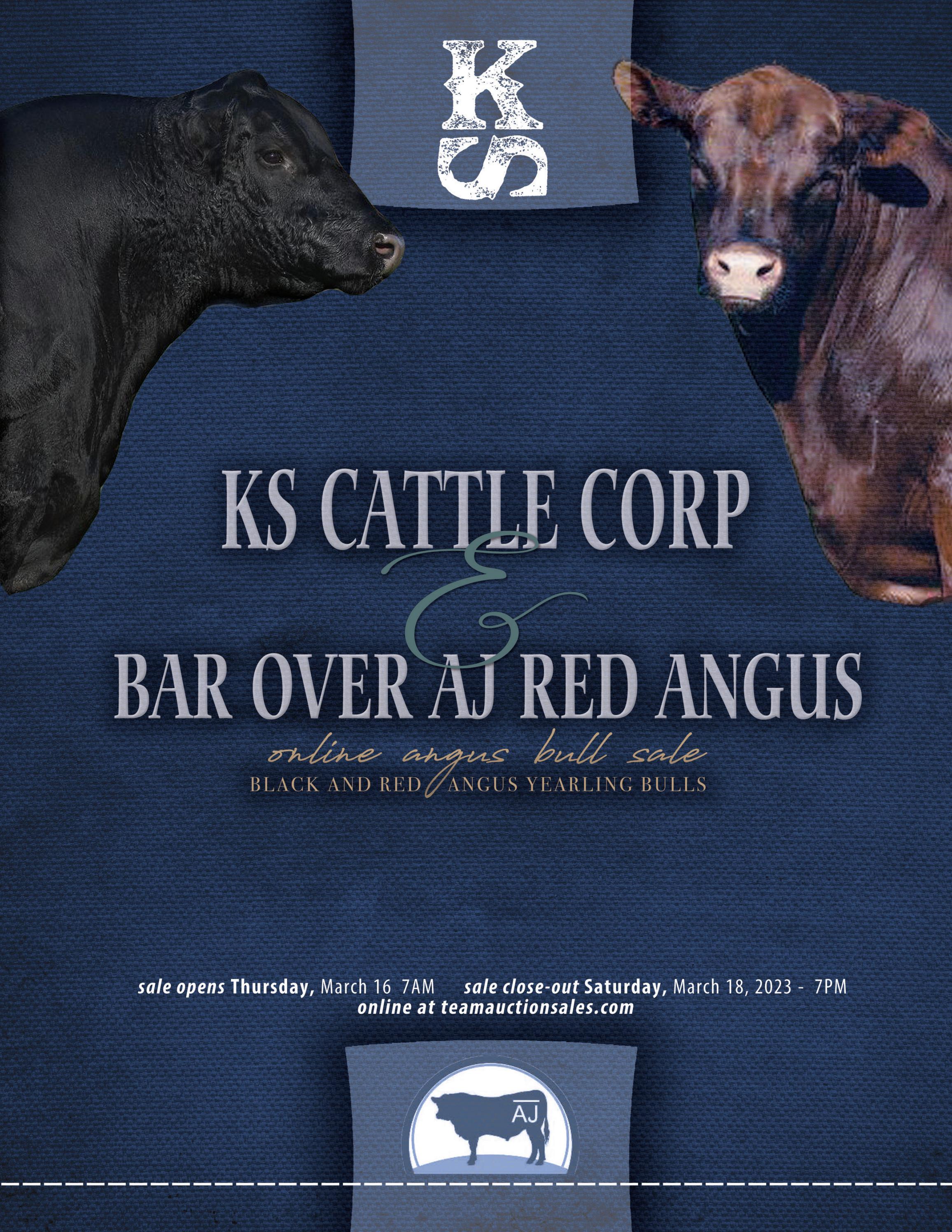KS Cattle & Bar Over AJ Angus Online Bull Sale by 14westcreations - Issuu