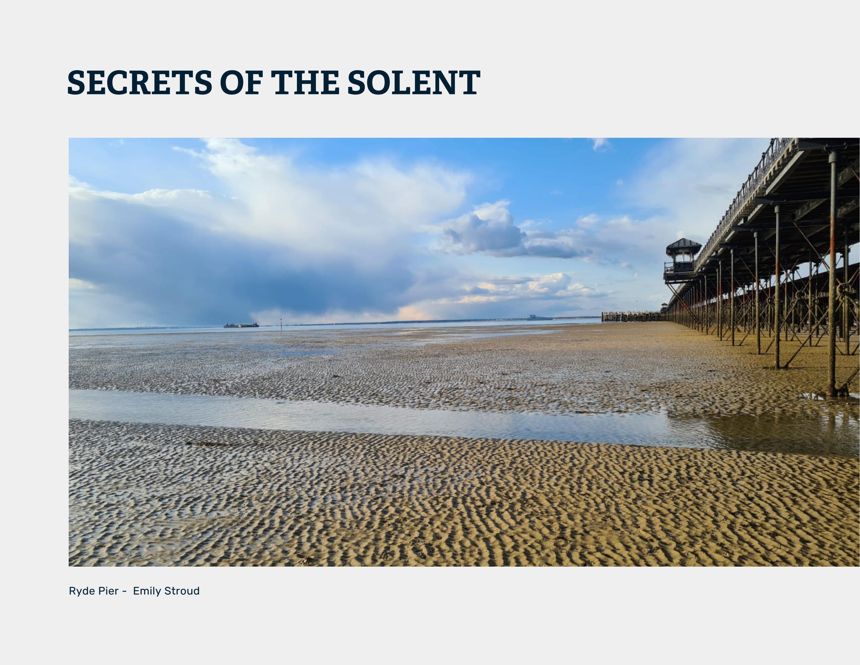 Secrets of the Solent photo book by Hampshire & Isle of Wight Wildlife ...