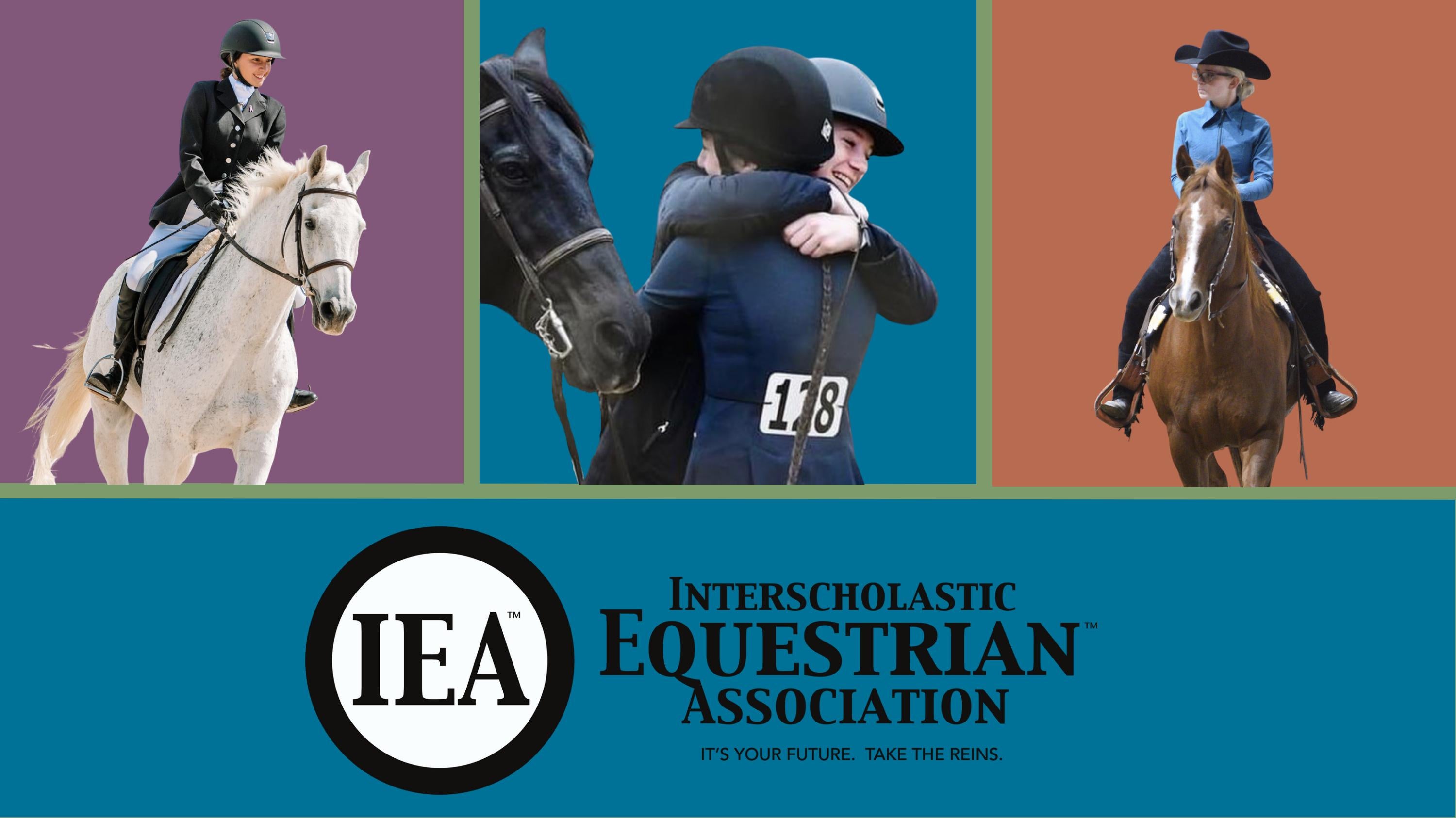 IEA It's Your Future. Take The Reins by ...