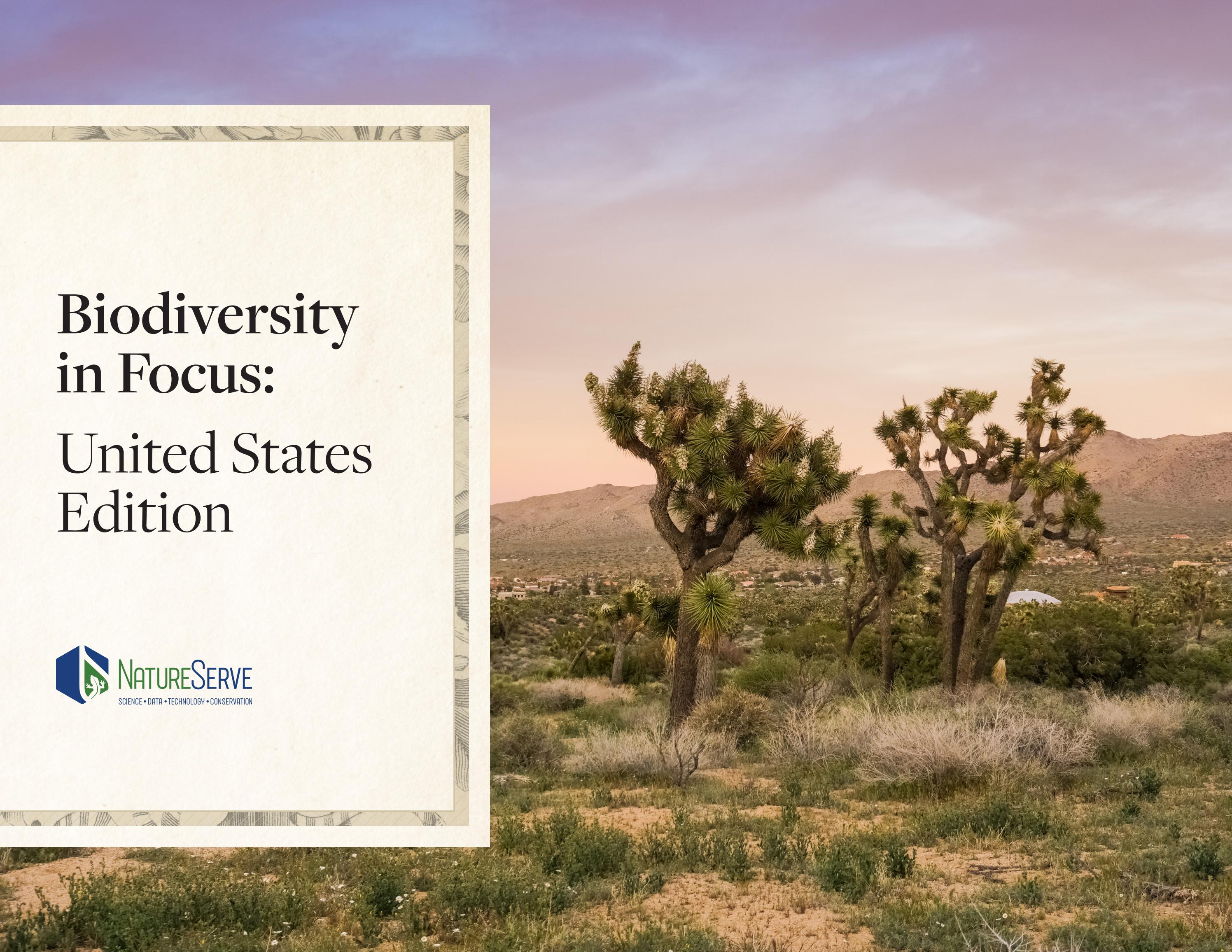 Biodiversity in Focus: United States Edition by NatureServe - Issuu