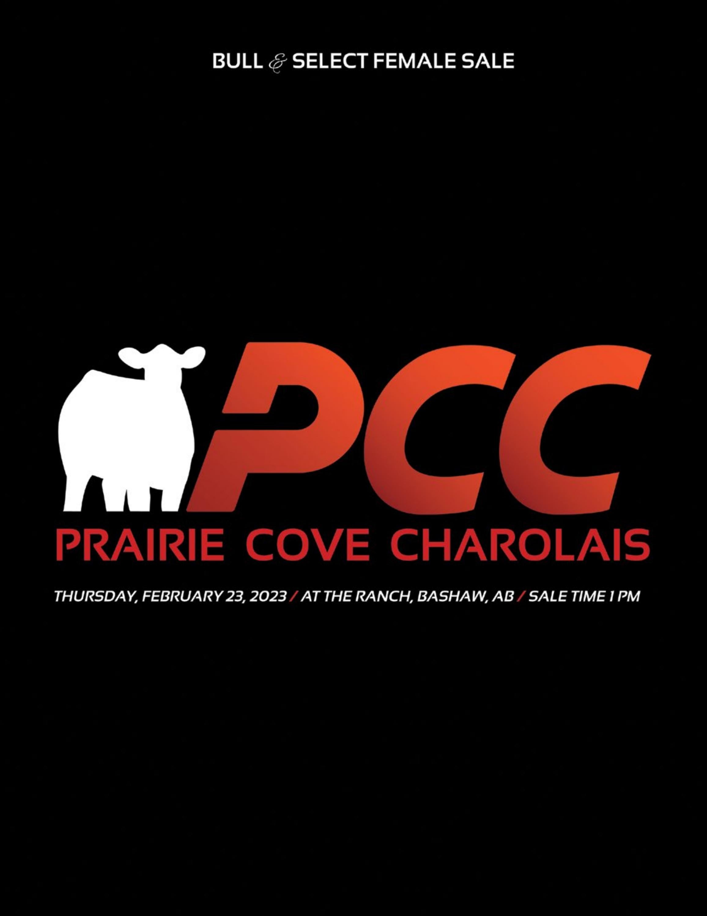 Prairie Cove Charolais Bull & Select Female Sale 2023 by ...