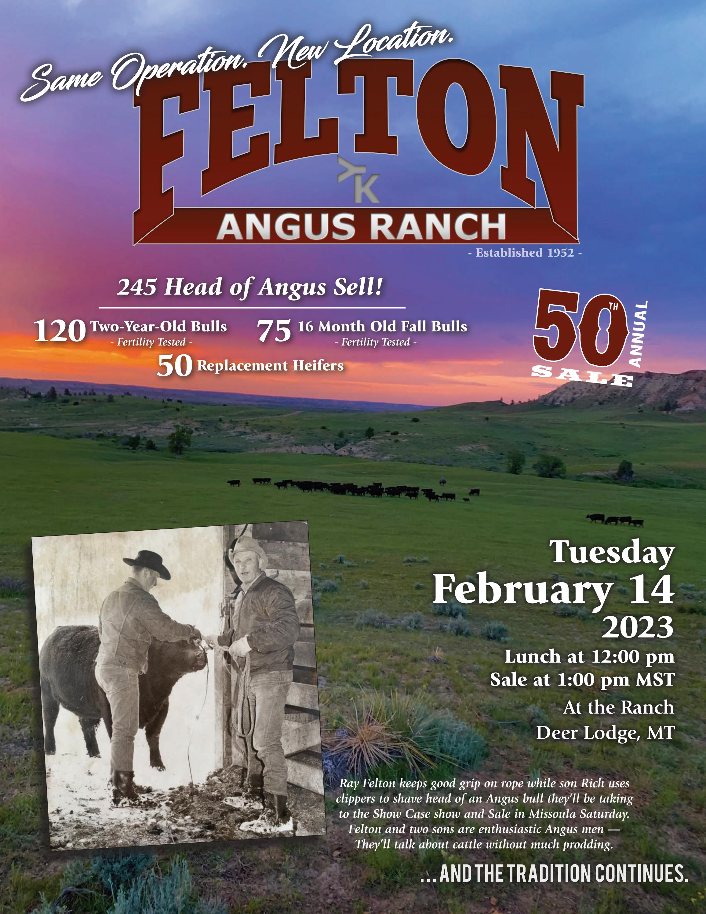 Felton Angus Ranch Sale Catalog 2023 by PeltonLivestock - Issuu