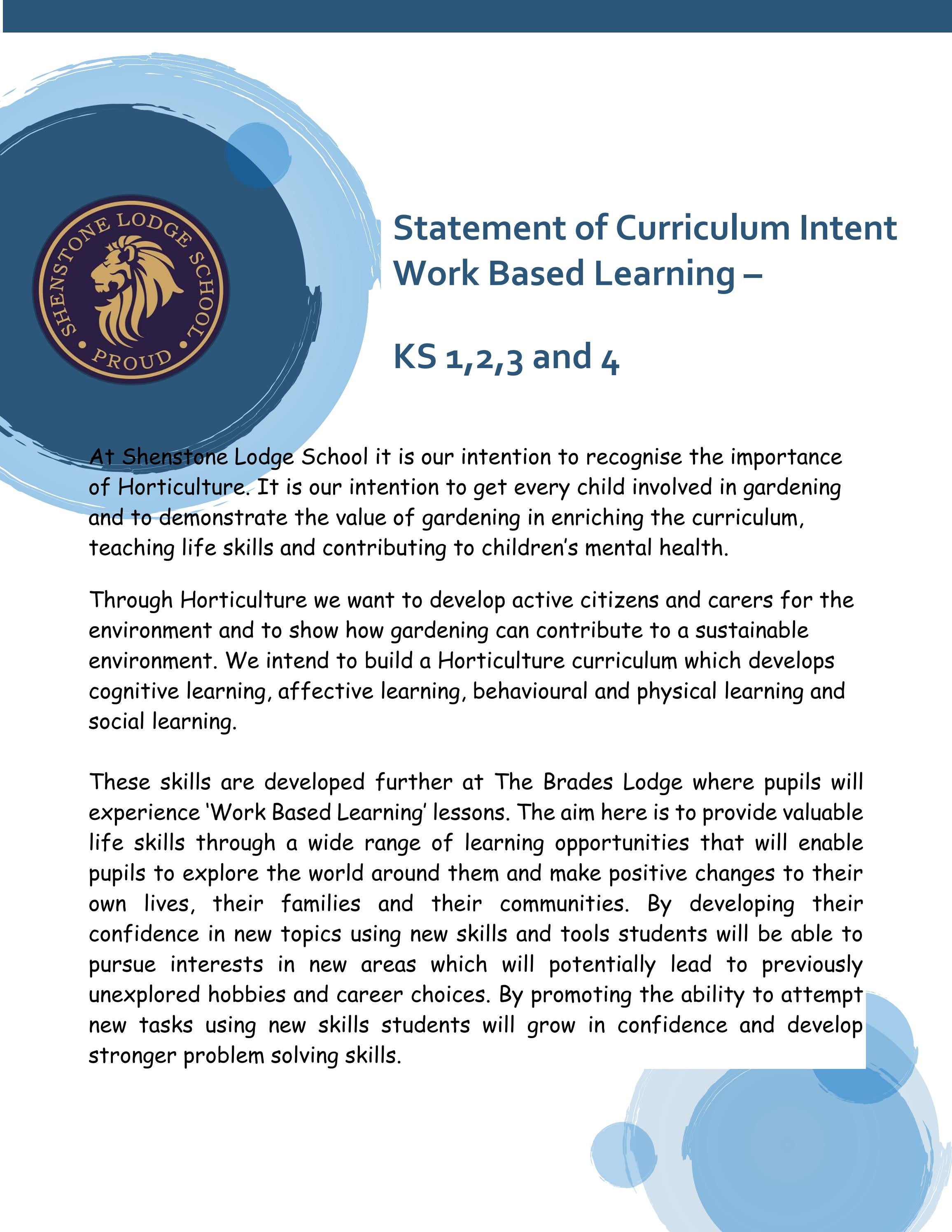 Work Based Learning Curriculum Intent by Schudio - Issuu