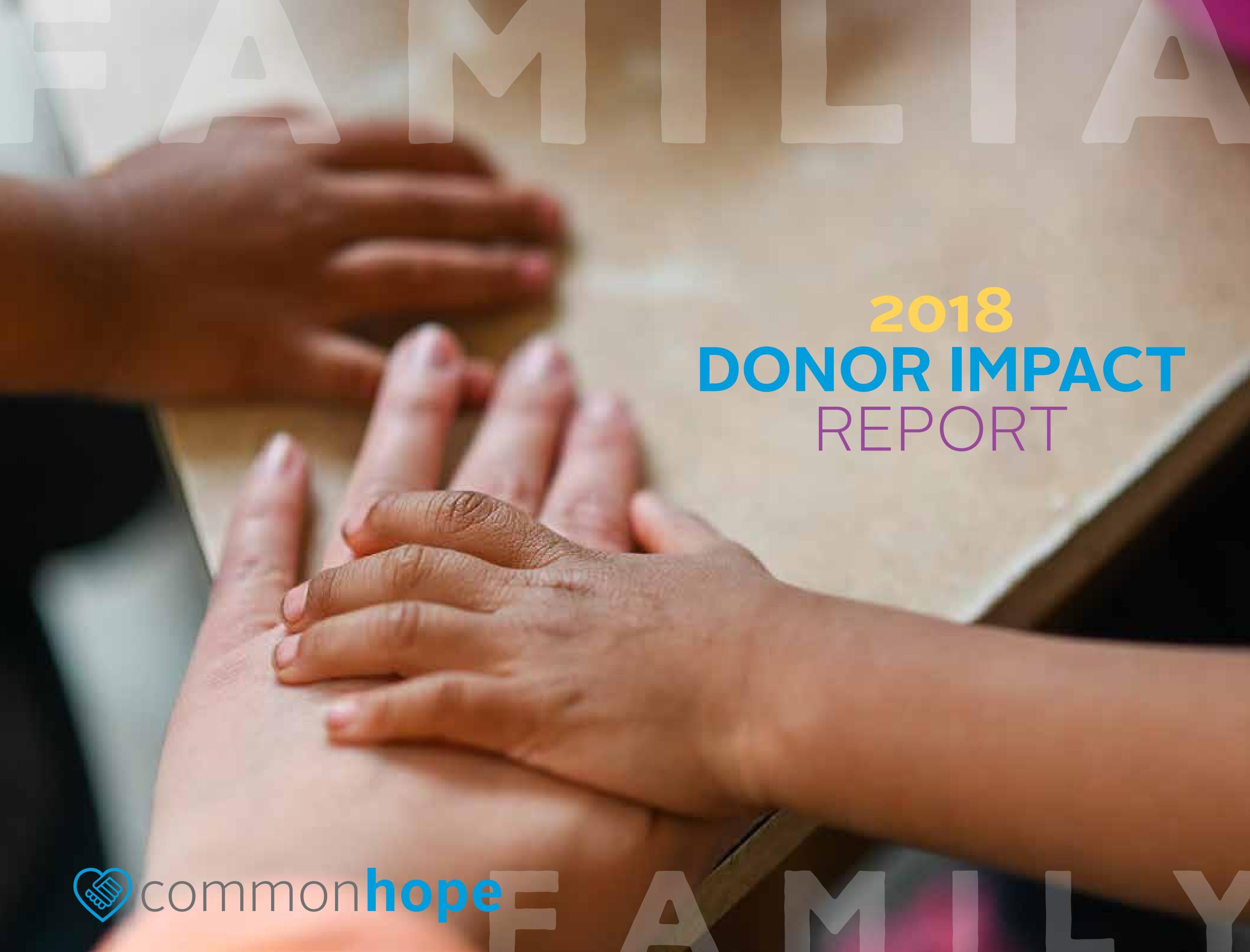 2018 Donor Impact Report by Common Hope - Issuu