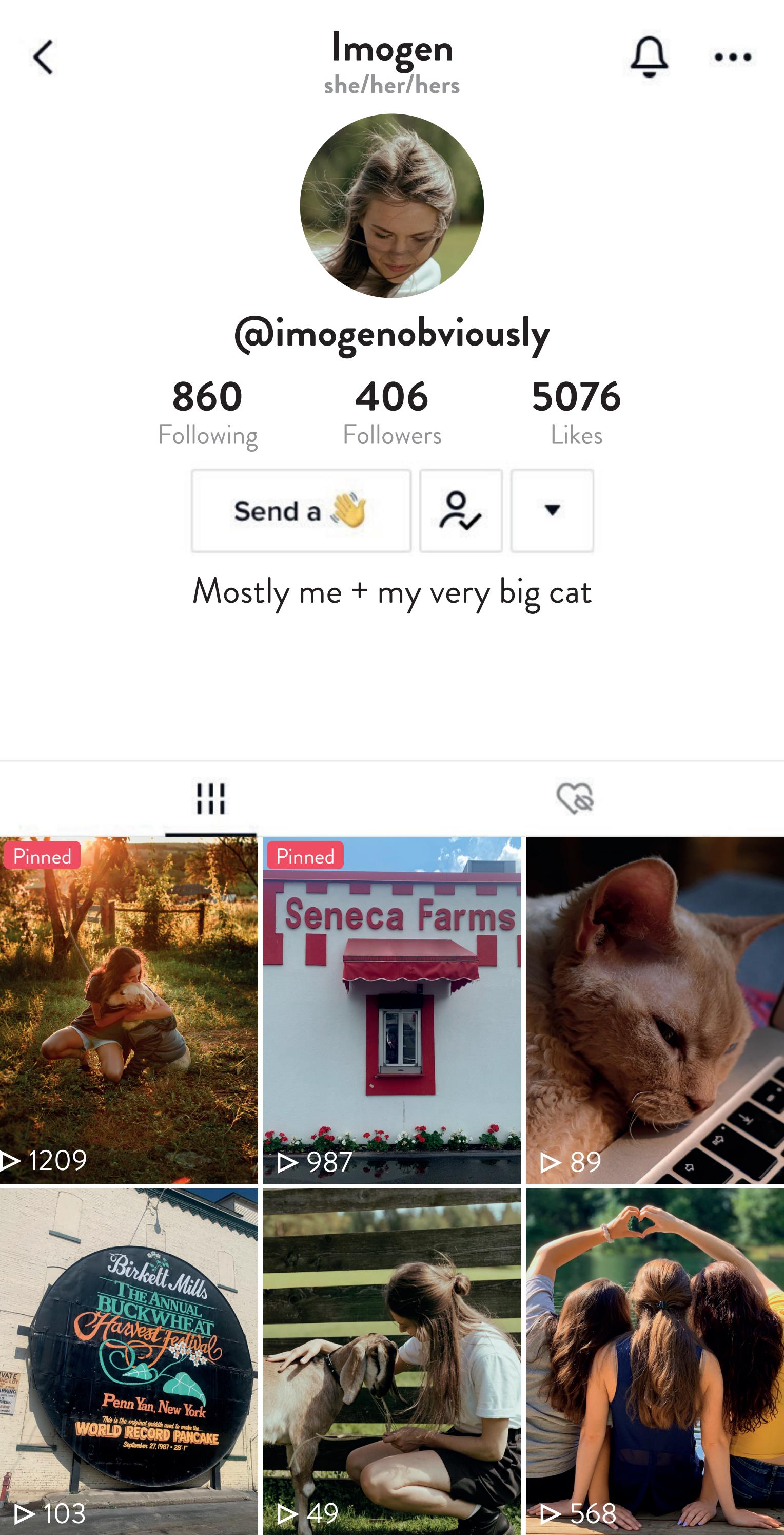 Meet the characters of Imogen, Obviously by harpercollinschildrens - Issuu