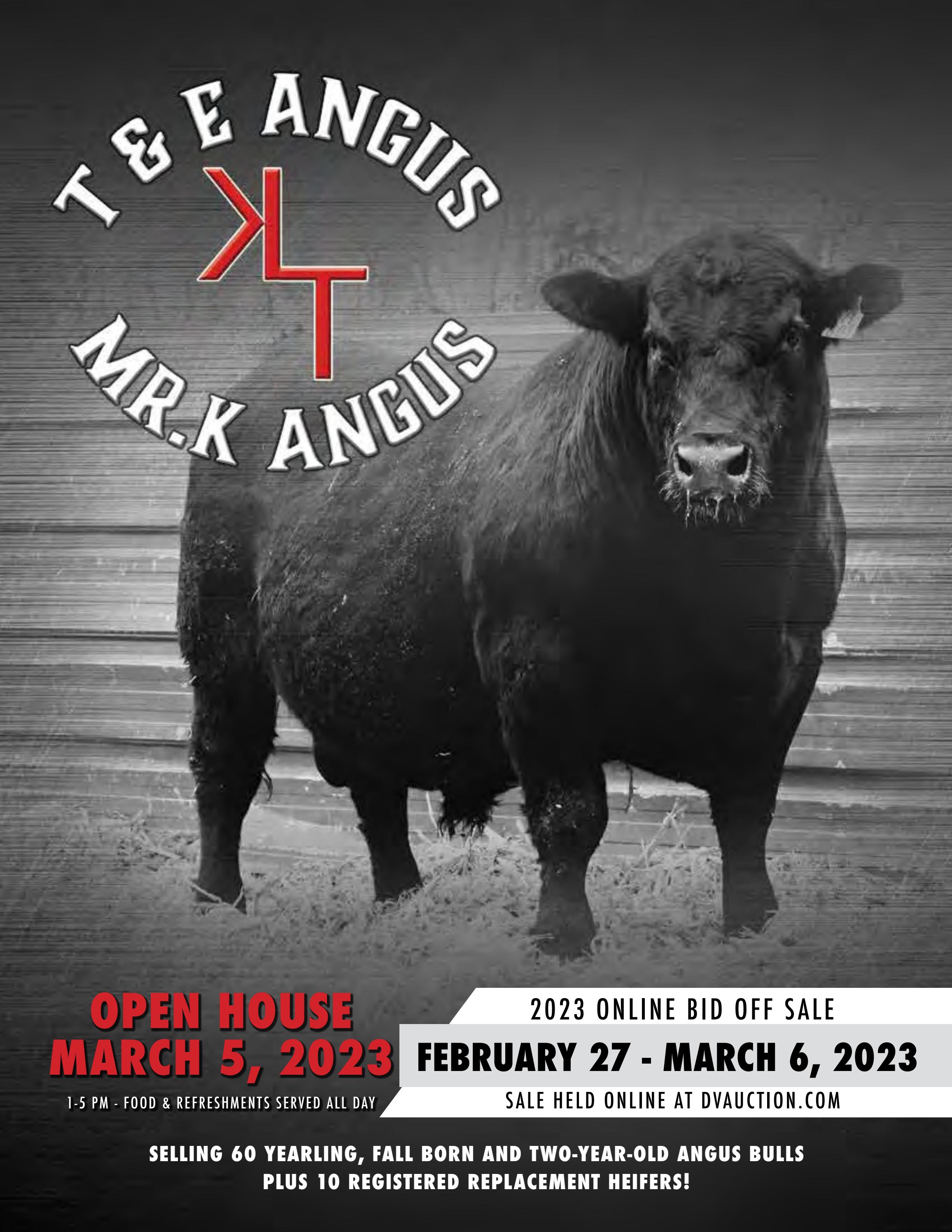 2023 - T&E Angus | Mr. K Angus Online Bid Off Sale by Honor Ag Branding ...