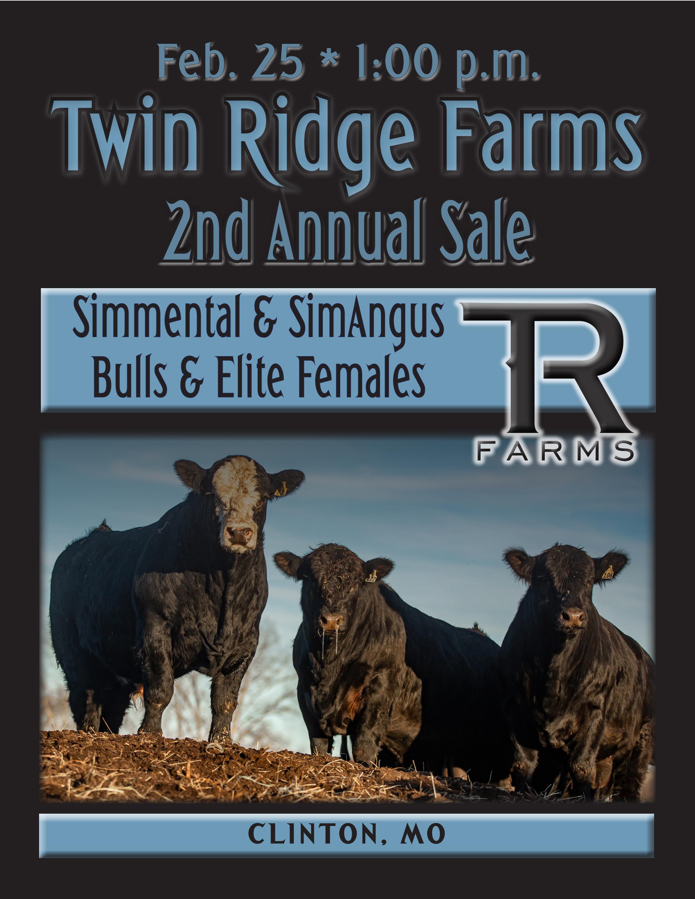 Twin Ridge Farms 2023 Sale Book by thewordsout - Issuu