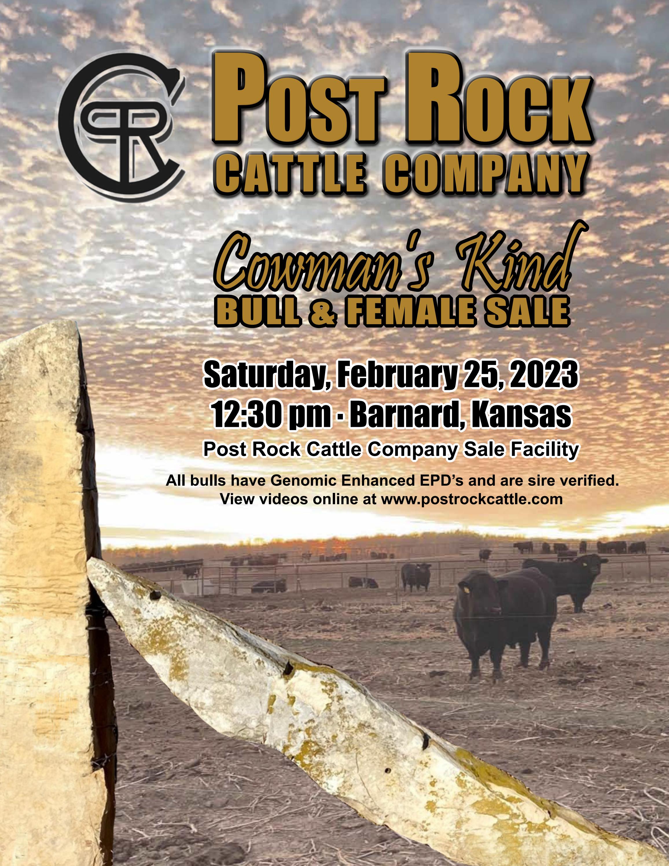 Post Rock Cattle Co. Cowman's Kind Bull & Female Sale by American ...