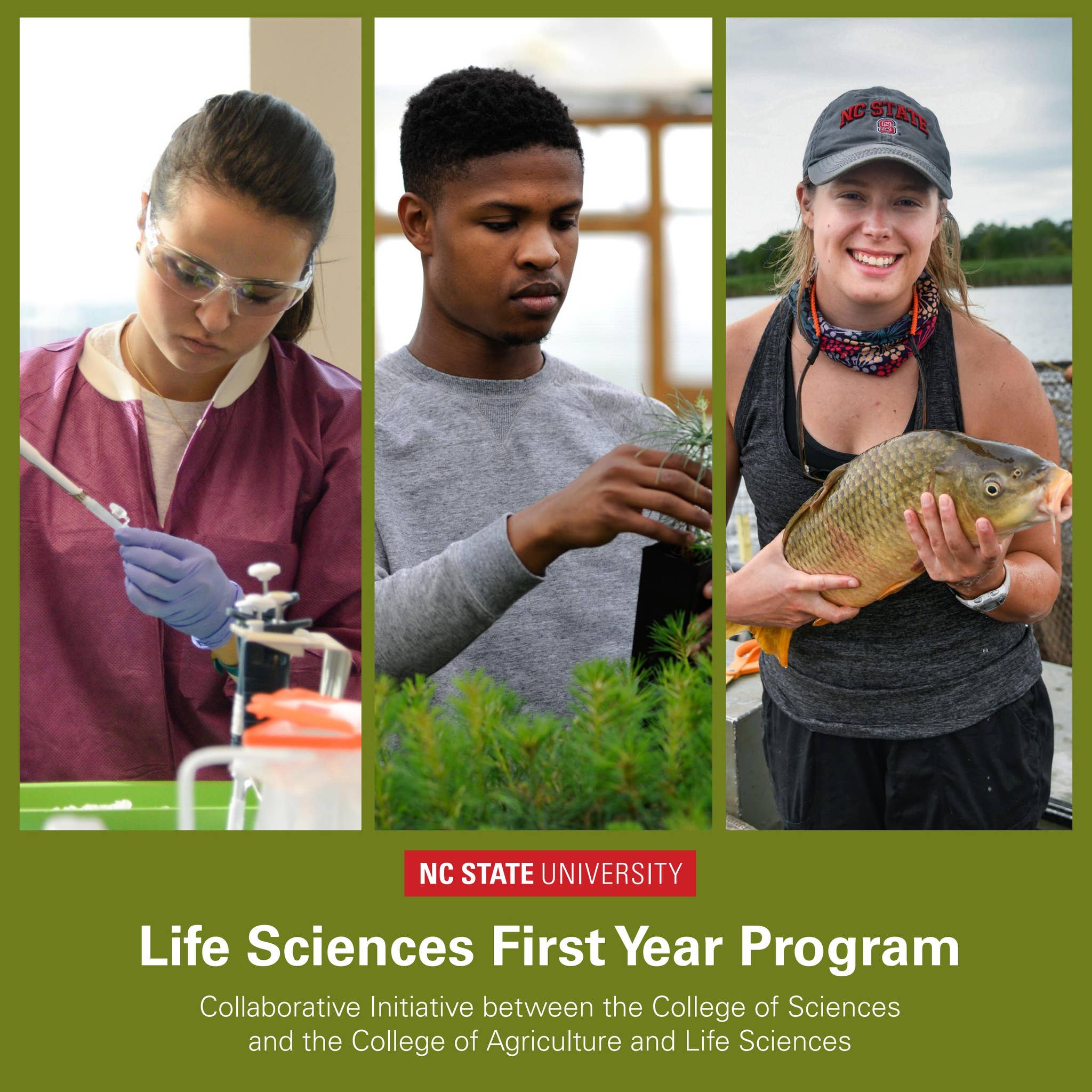 Life Sciences First Year Program Viewbook by NC State College of ...