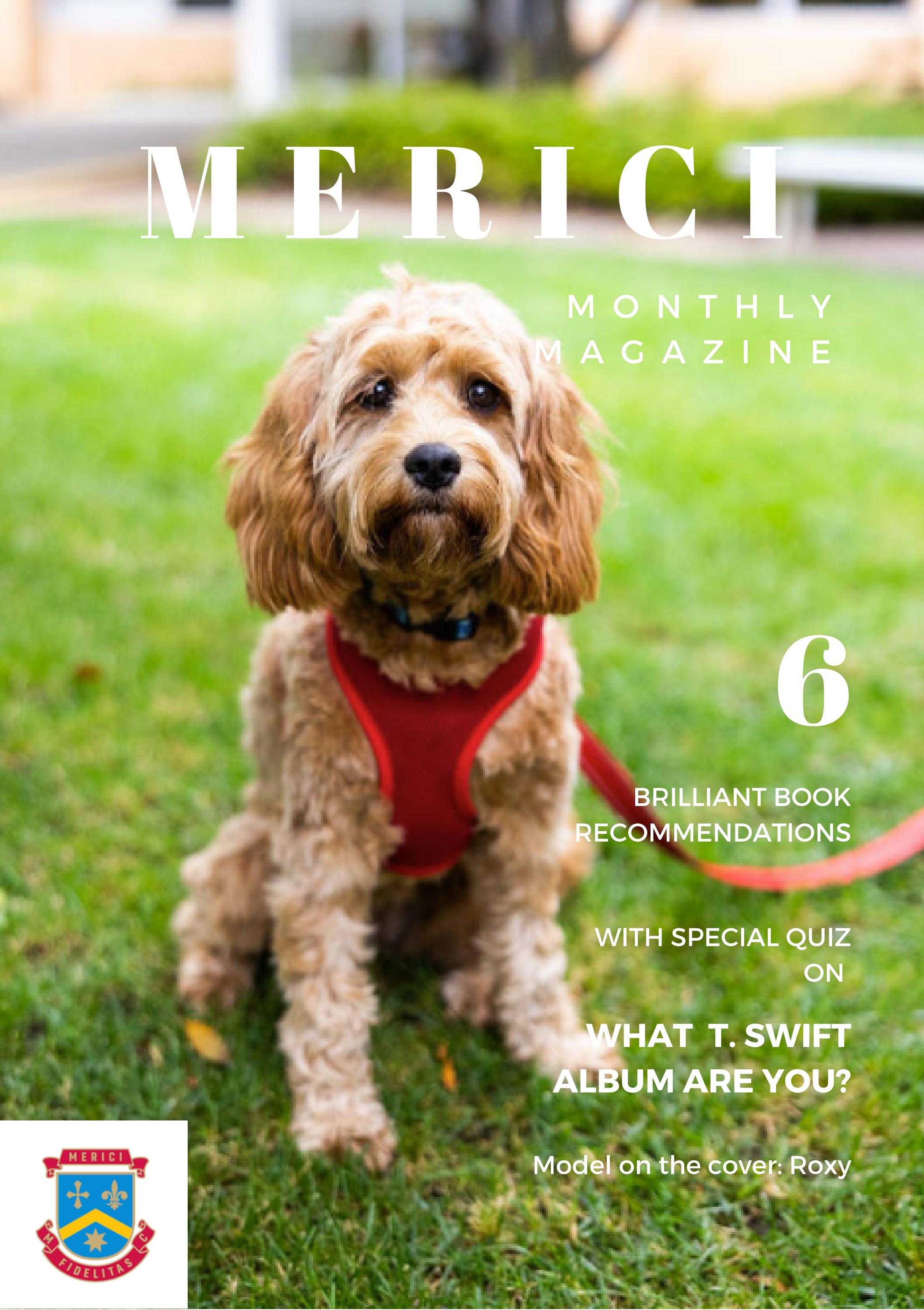 Merici Magazine Issue #1 by The Merici Magazine - Issuu
