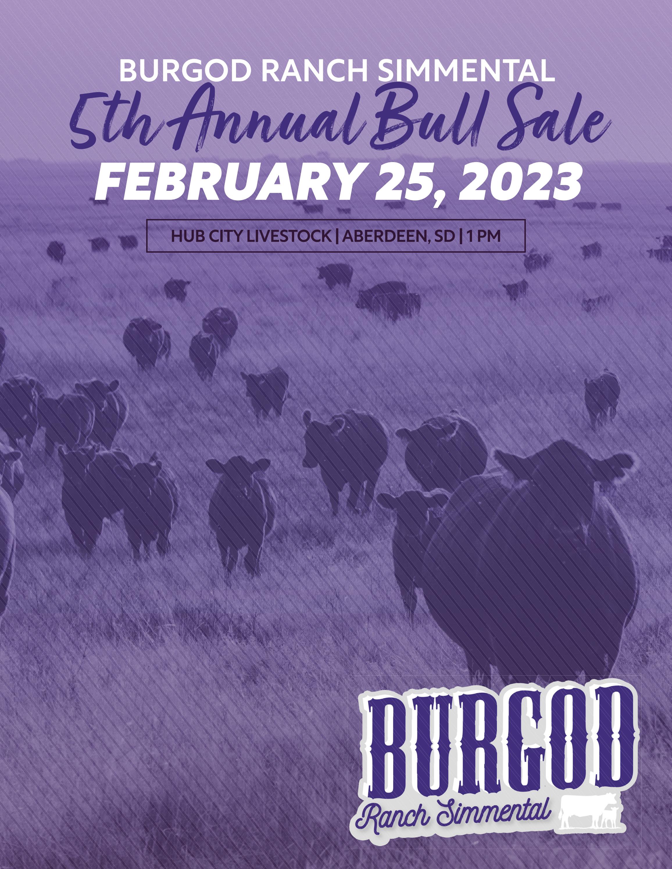 Burgod Ranch Simmental 5th Annual Bull Sale by Addison K Creative Co ...