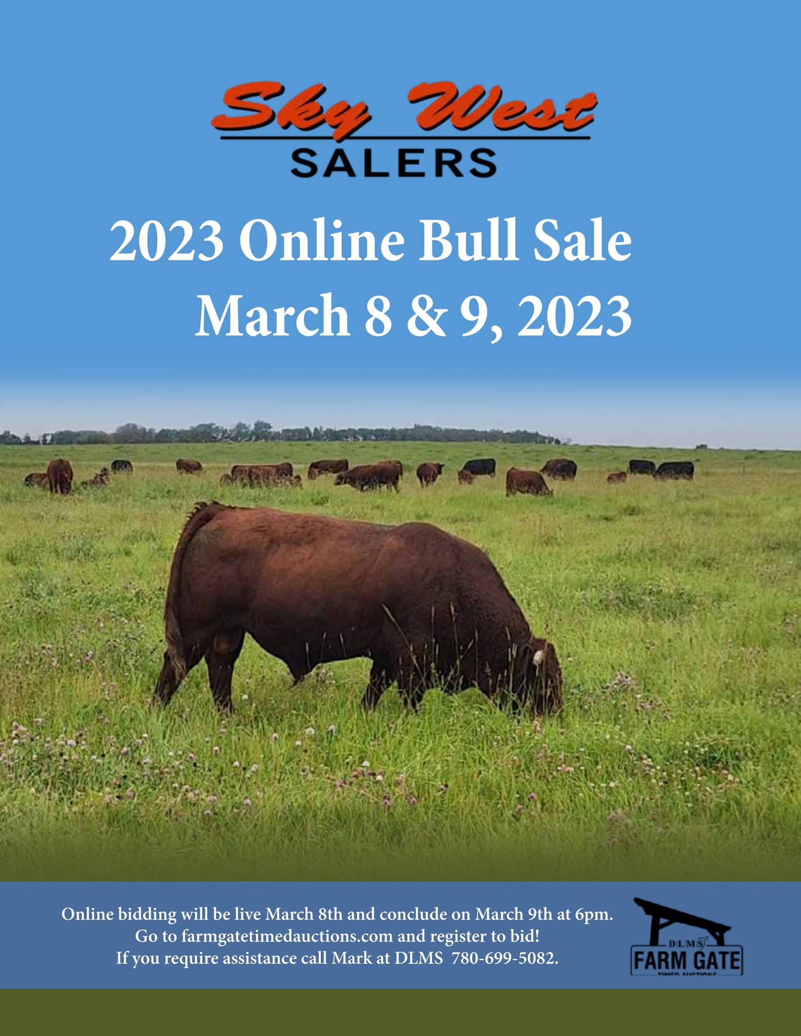 Sky West Salers Online Bull Sale - DLMS Farm Gate Timed Auction by DLMS ...