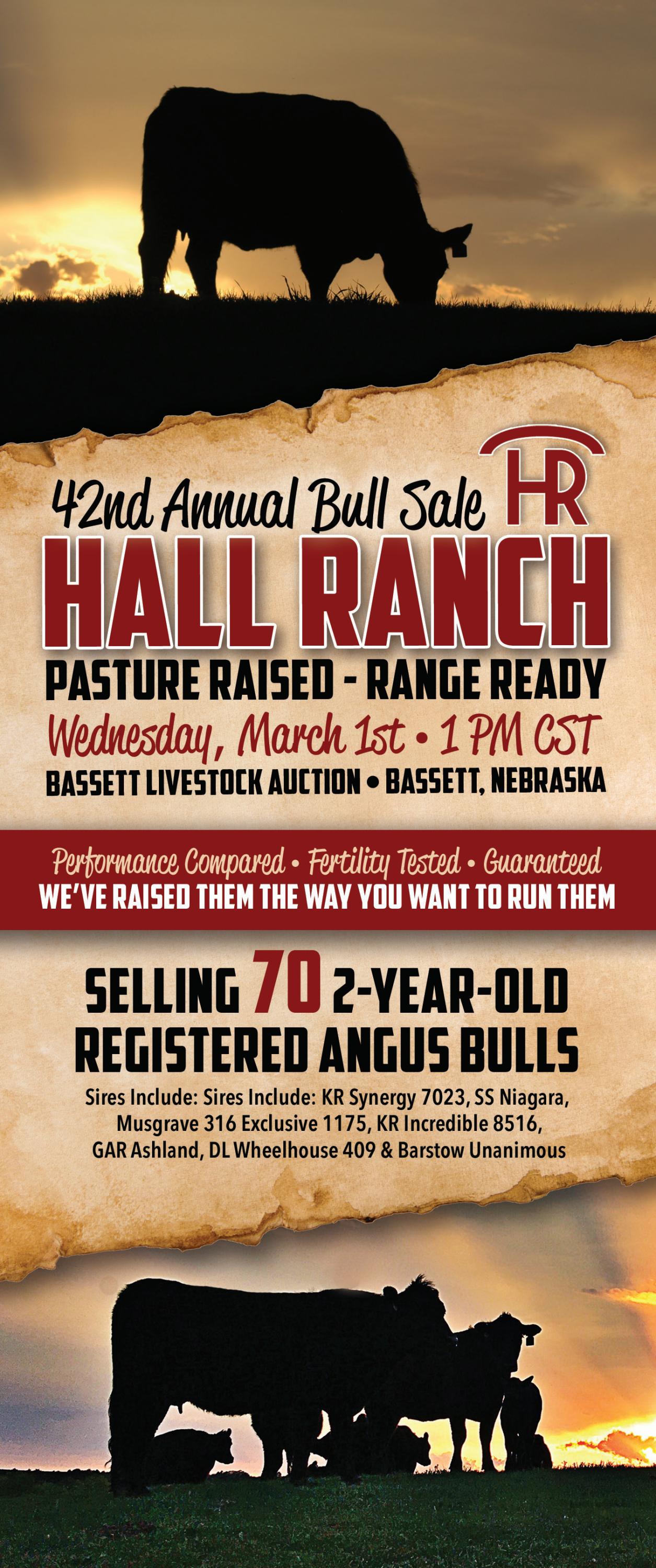 42nd Annual Hall Ranch Bull Sale - 2023 by kelsey.steinkraus - Issuu