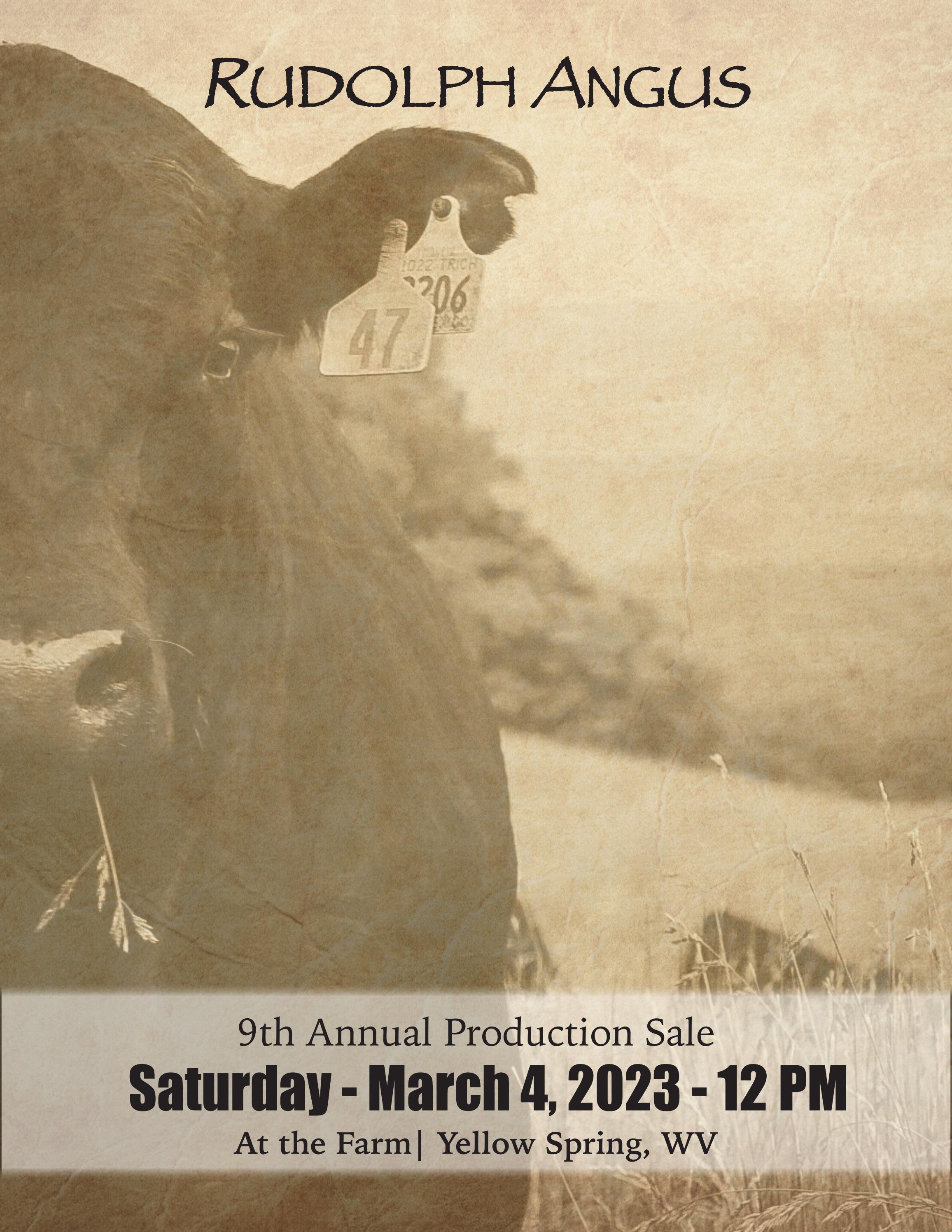 Rudolph Angus 2023 Production Sale by Jeremy Rudolph - Issuu