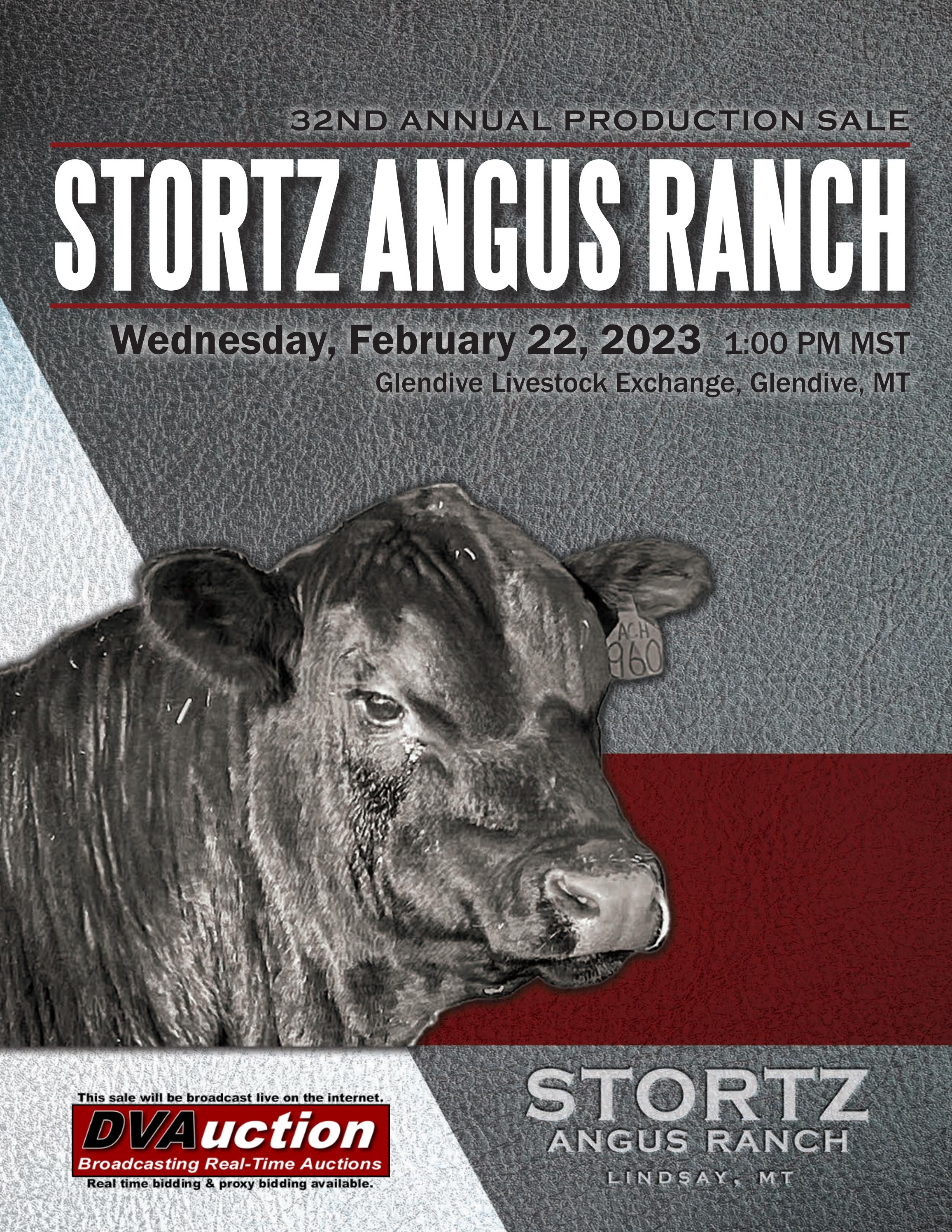 Stortz Angus Ranch 2023 Production Sale by StortzAngusRanch - Issuu