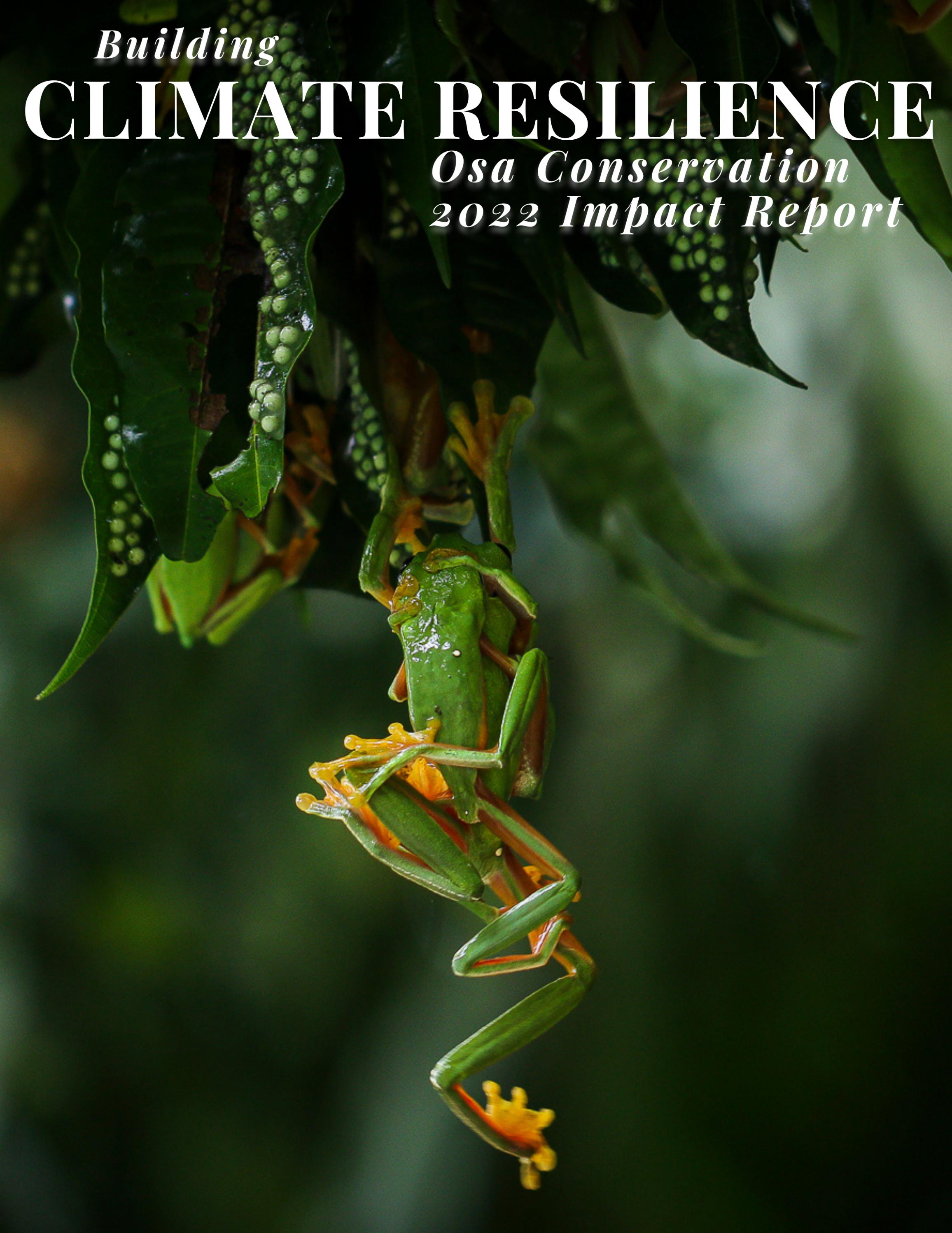2022 Impact Report - Osa Conservation by Osa Conservation - Issuu