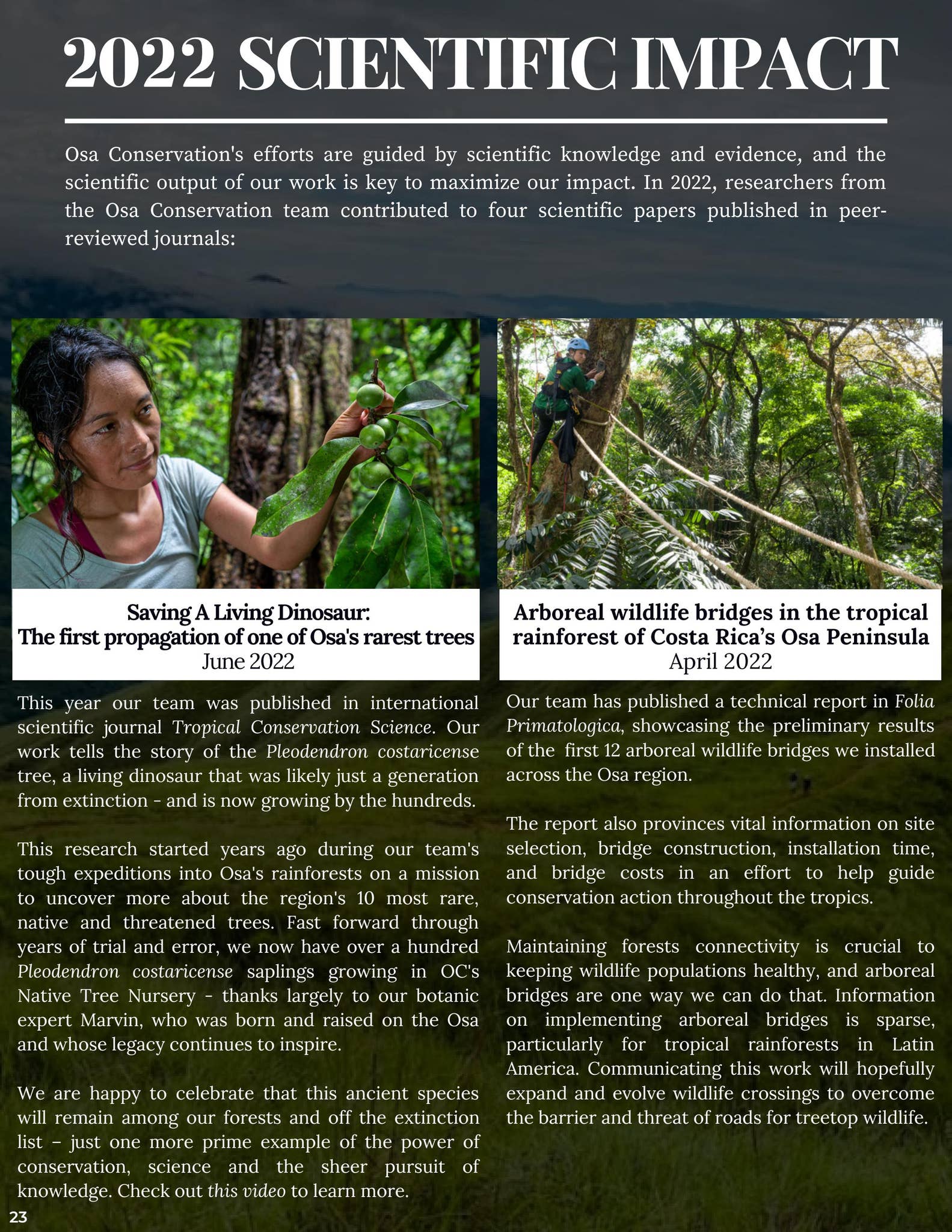 2022 Impact Report - Osa Conservation by Osa Conservation - Issuu